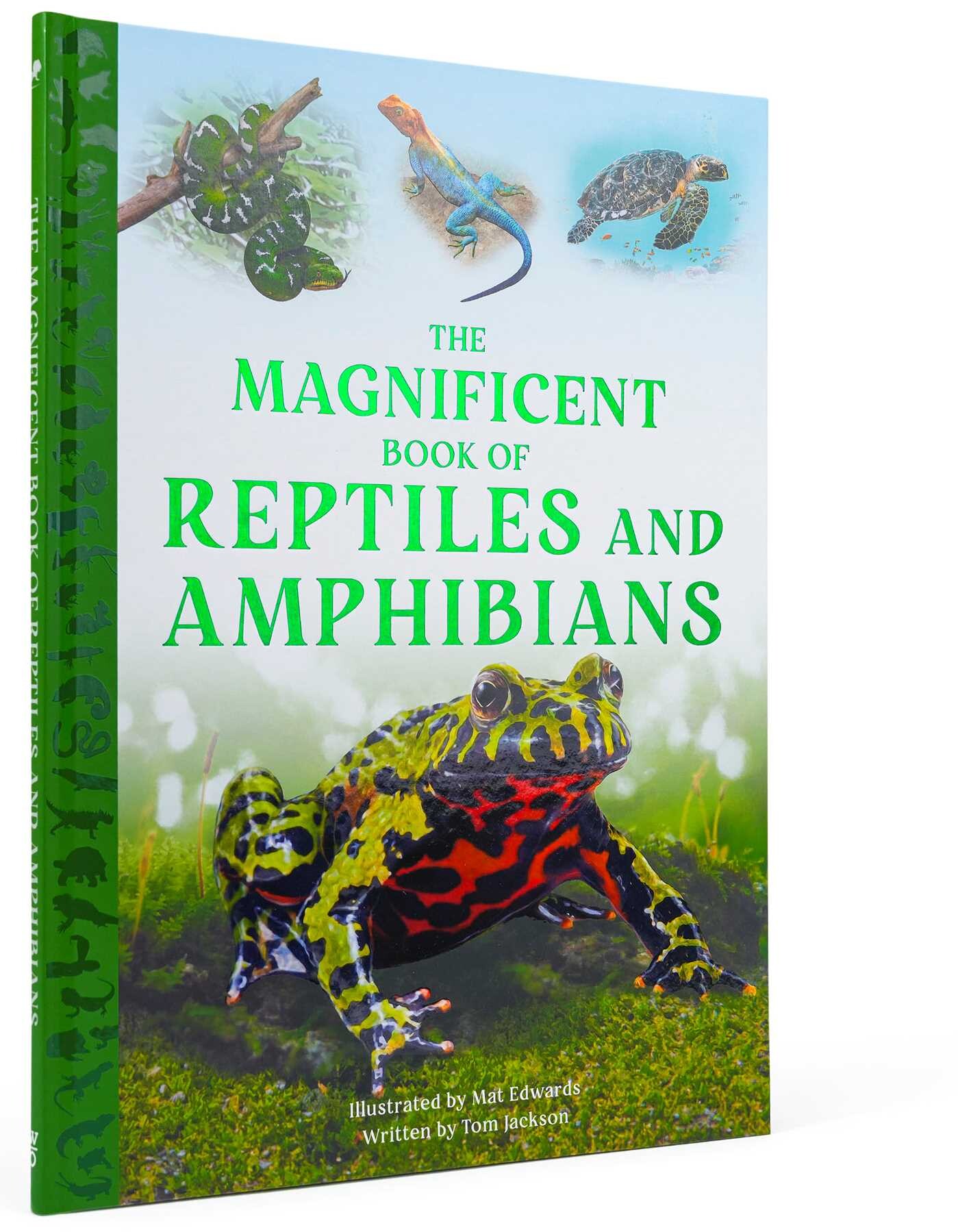 The Magnificent Book of Reptiles and Amphibians | Book by Tom Jackson ...