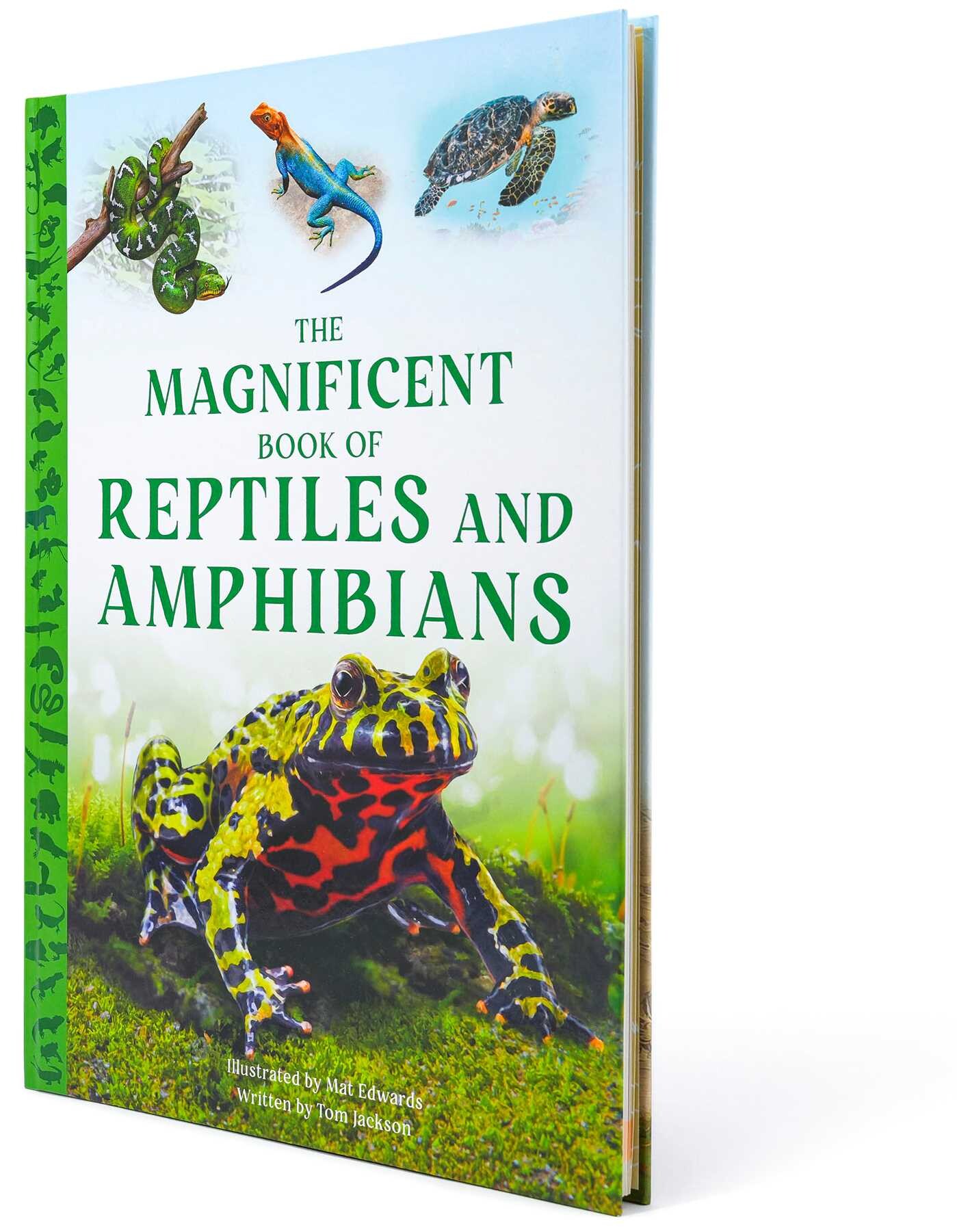 The Magnificent Book of Reptiles and Amphibians | Book by Tom Jackson, Mat Edwards | Official ...