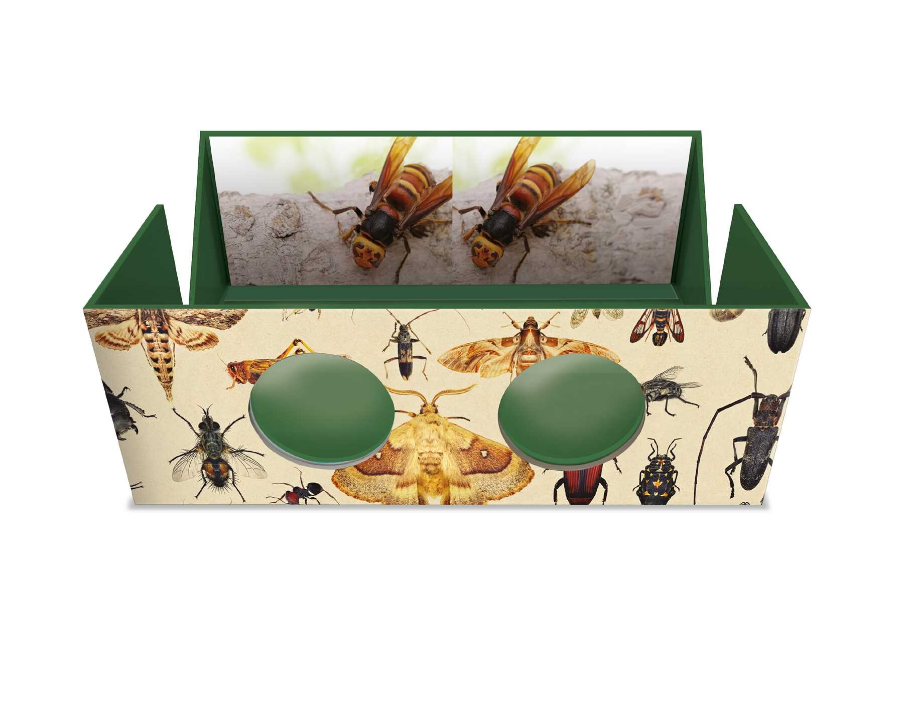 The Magnificent Box of Bugs and Insects - Book Summary & Video ...