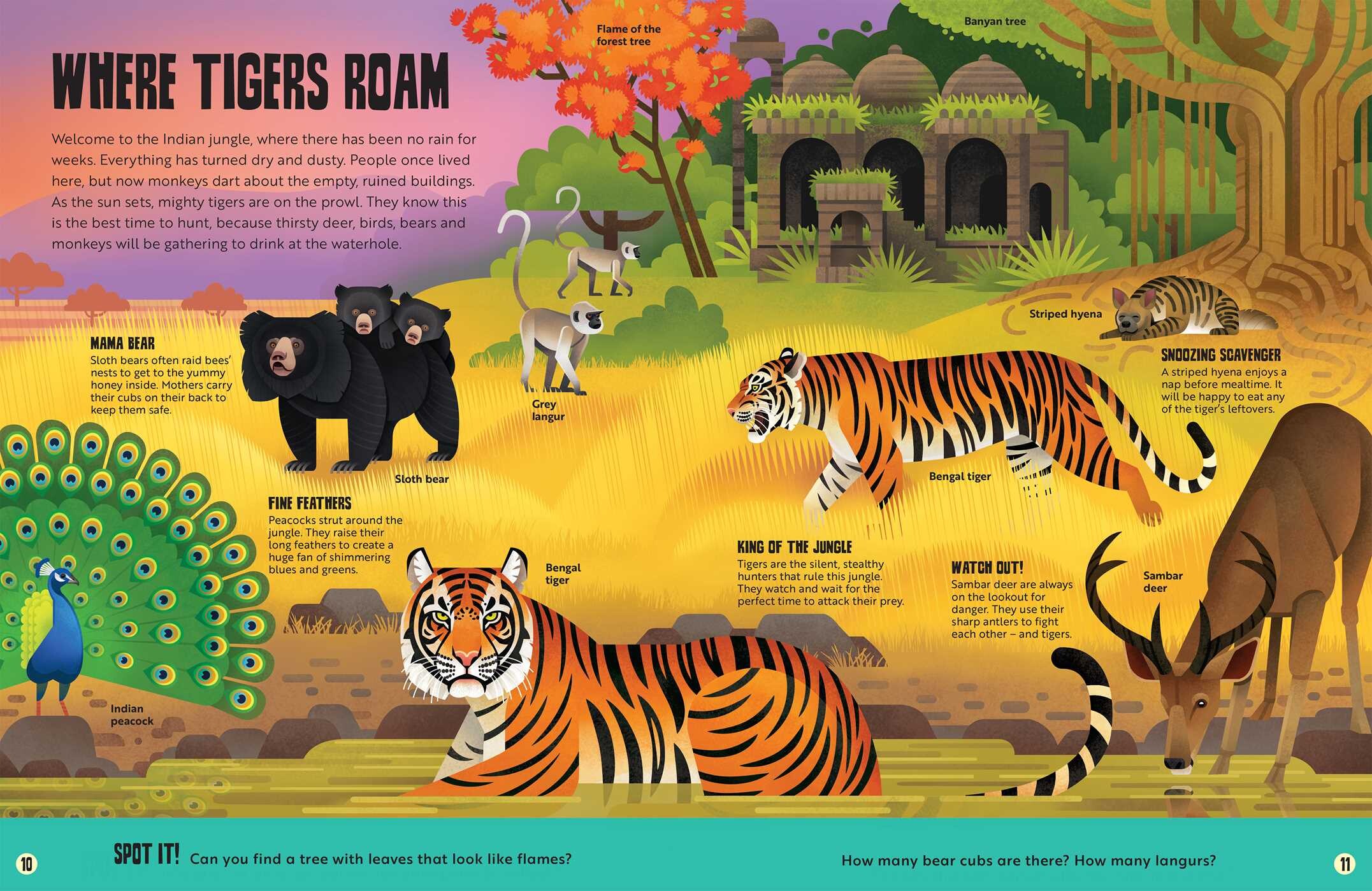 My First Jungle Atlas | Book by Camilla de la Bedoyere, Greco ...