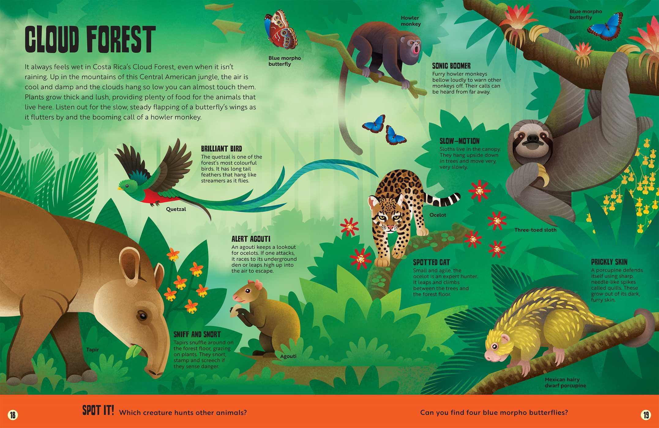 My First Jungle Atlas | Book by Camilla de la Bedoyere, Greco ...