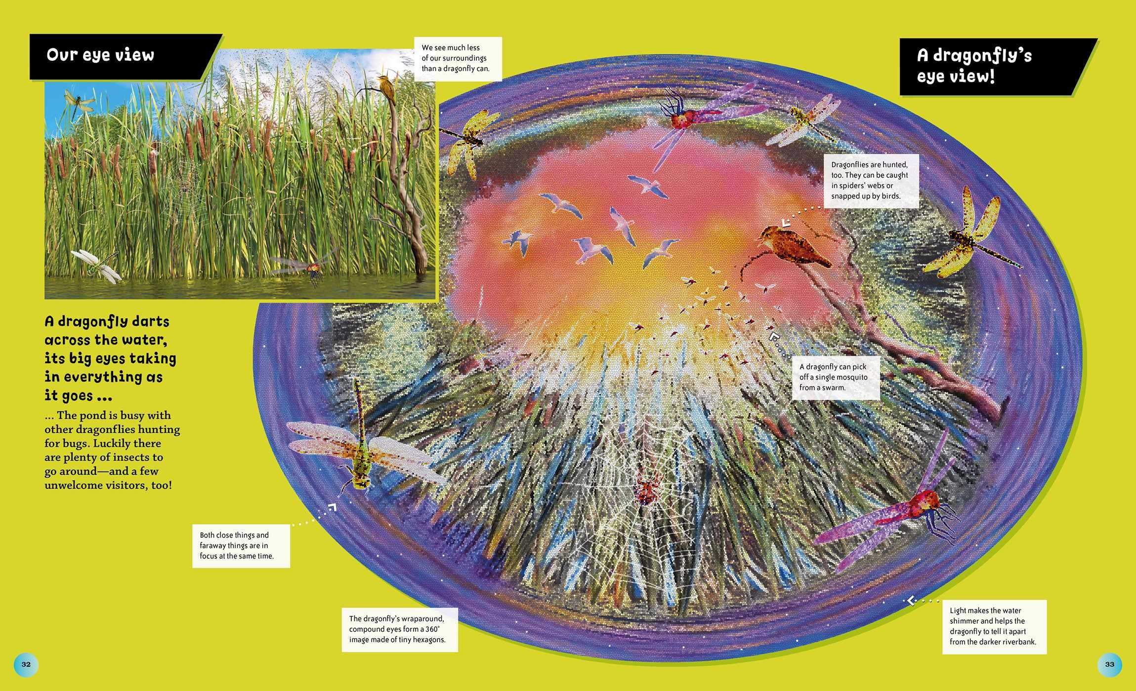 Eye View: Bugs | Book by Catherine Ard, Weldon Owen | Official ...