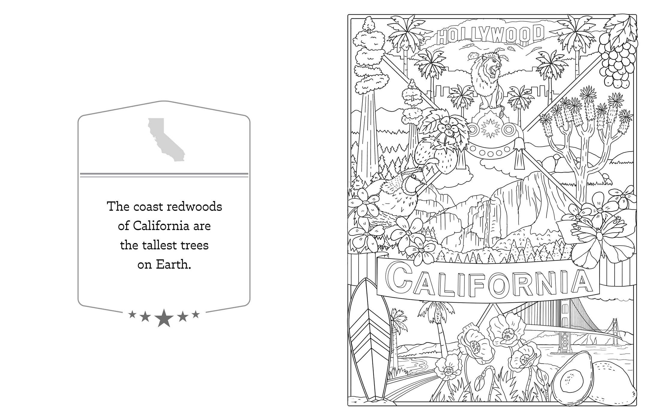 America the Beautiful Coloring Book | Book by Weldon Owen, Liz Munro ...