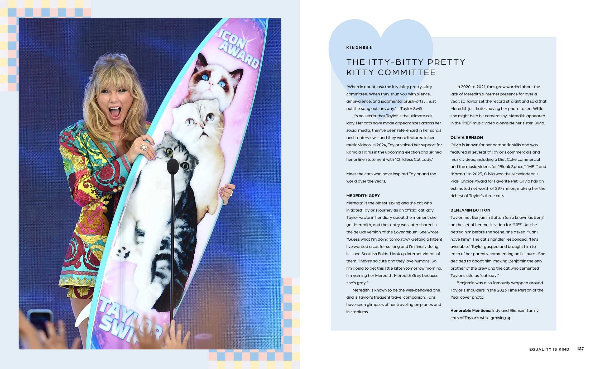 Taylor Swift Chronicles eBook by Lindsey Smith | Official Publisher ...