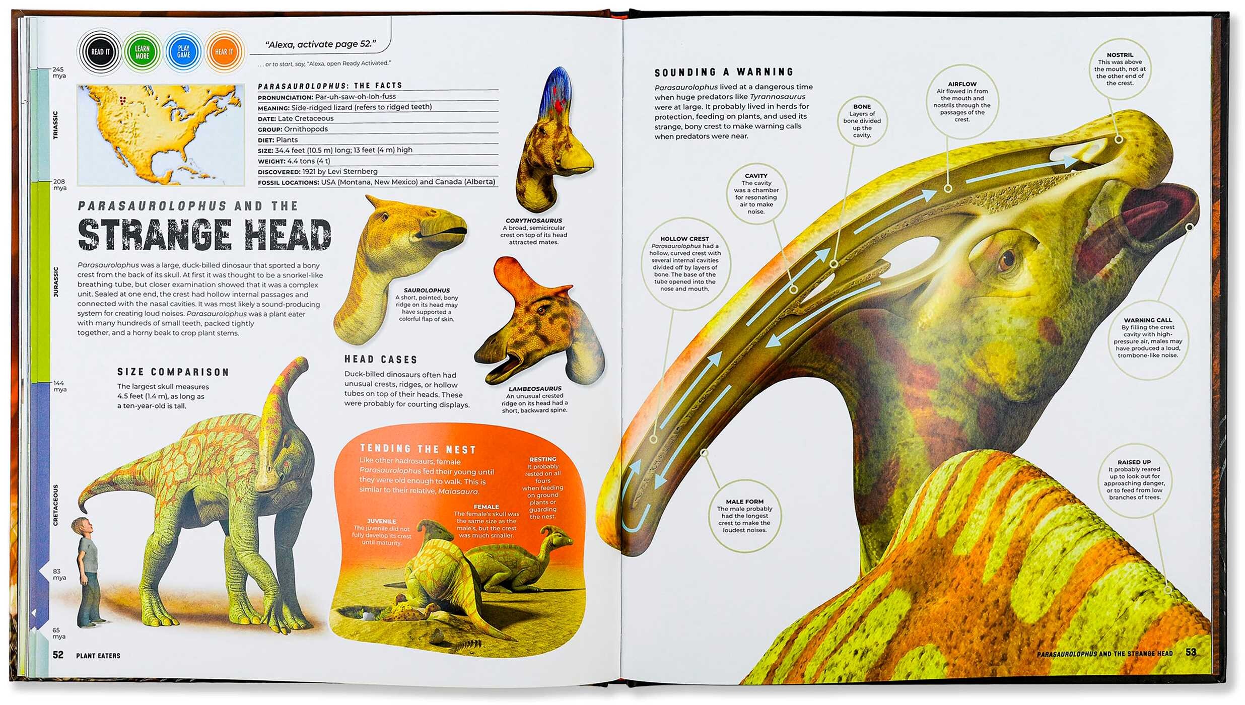 Discover: Dinosaurs (Ready Activated: A Readyland Alexa Interactive ...