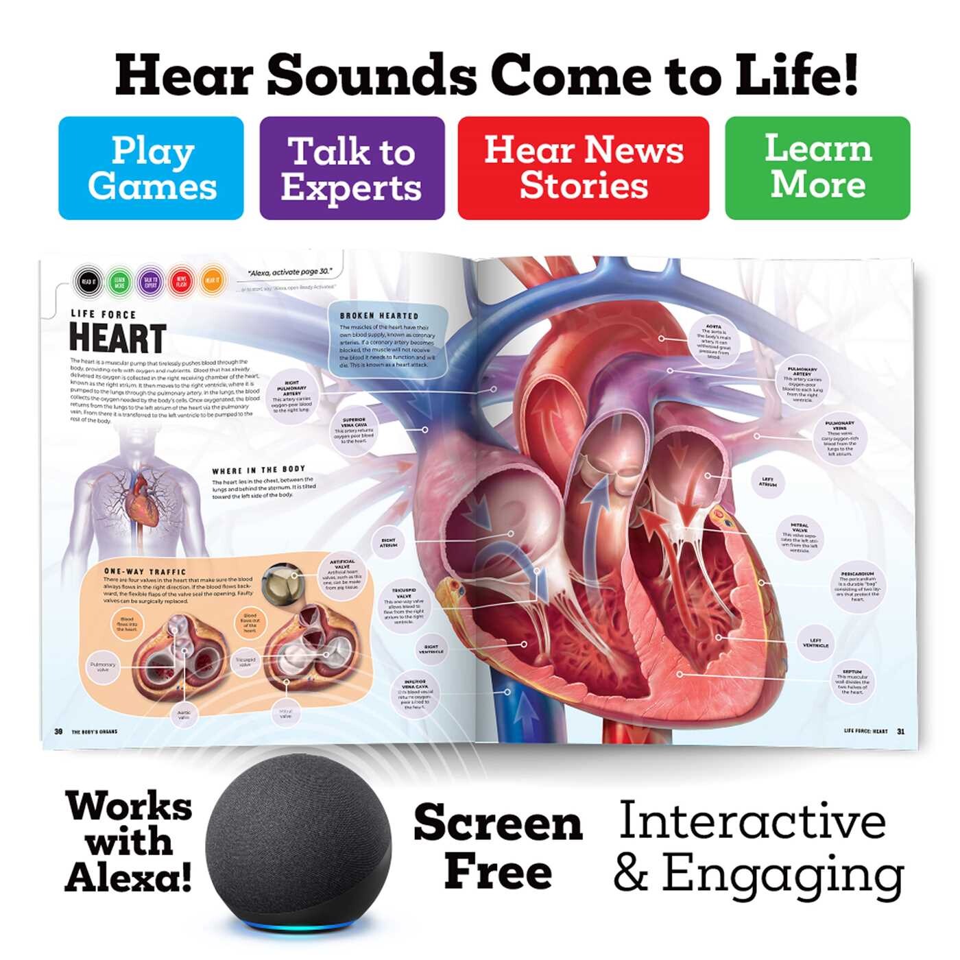 Discover: The Human Body (Ready Activated: A Readyland Alexa ...