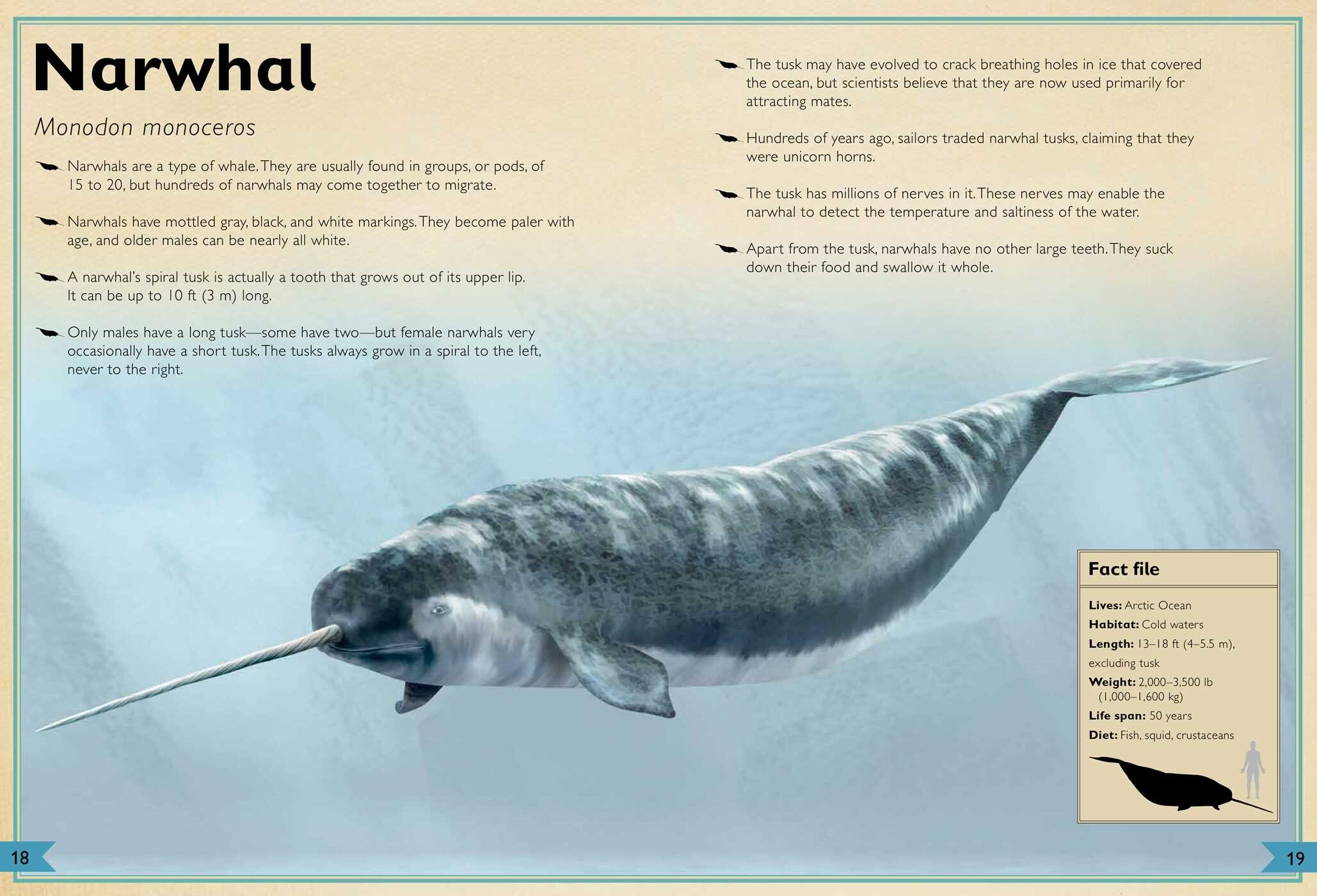 The Magnificent Book of Ocean Creatures | Book by Tom Jackson, Val ...