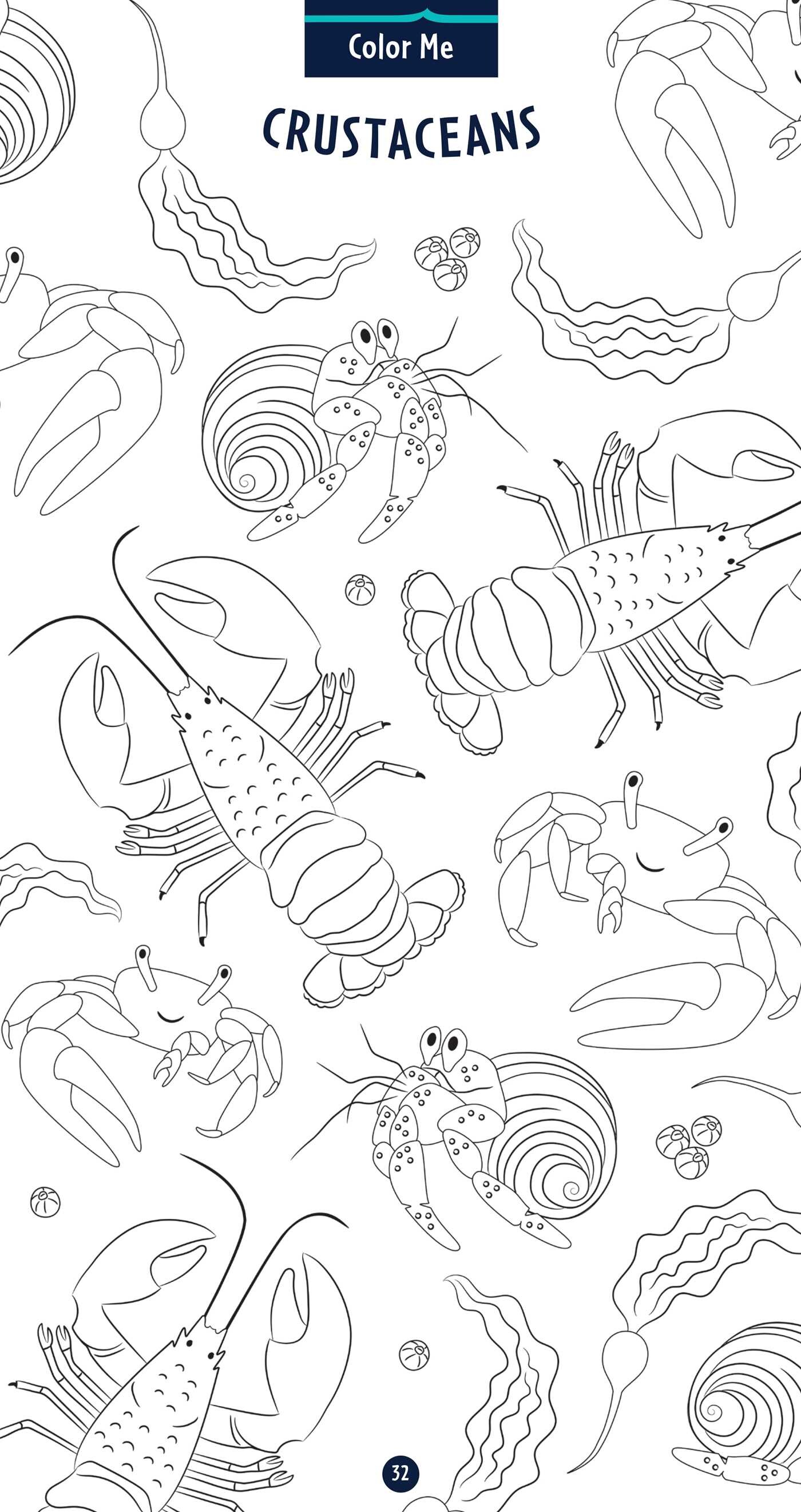 Undersea Explorer Activity Pack - Book Summary & Video | Official Publisher Page | Simon ...