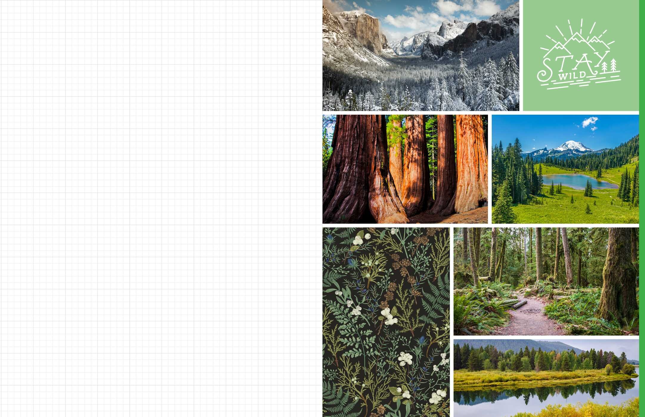 Cut & Collage National Parks | Book by Earth Aware Editions | Official ...