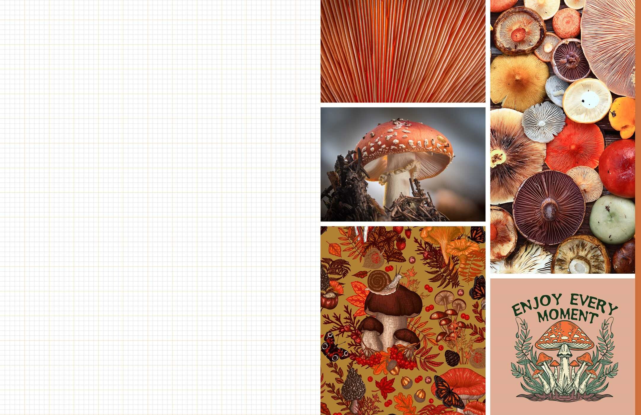Cut & Collage Mushrooms and Fungi | Book by Earth Aware Editions ...