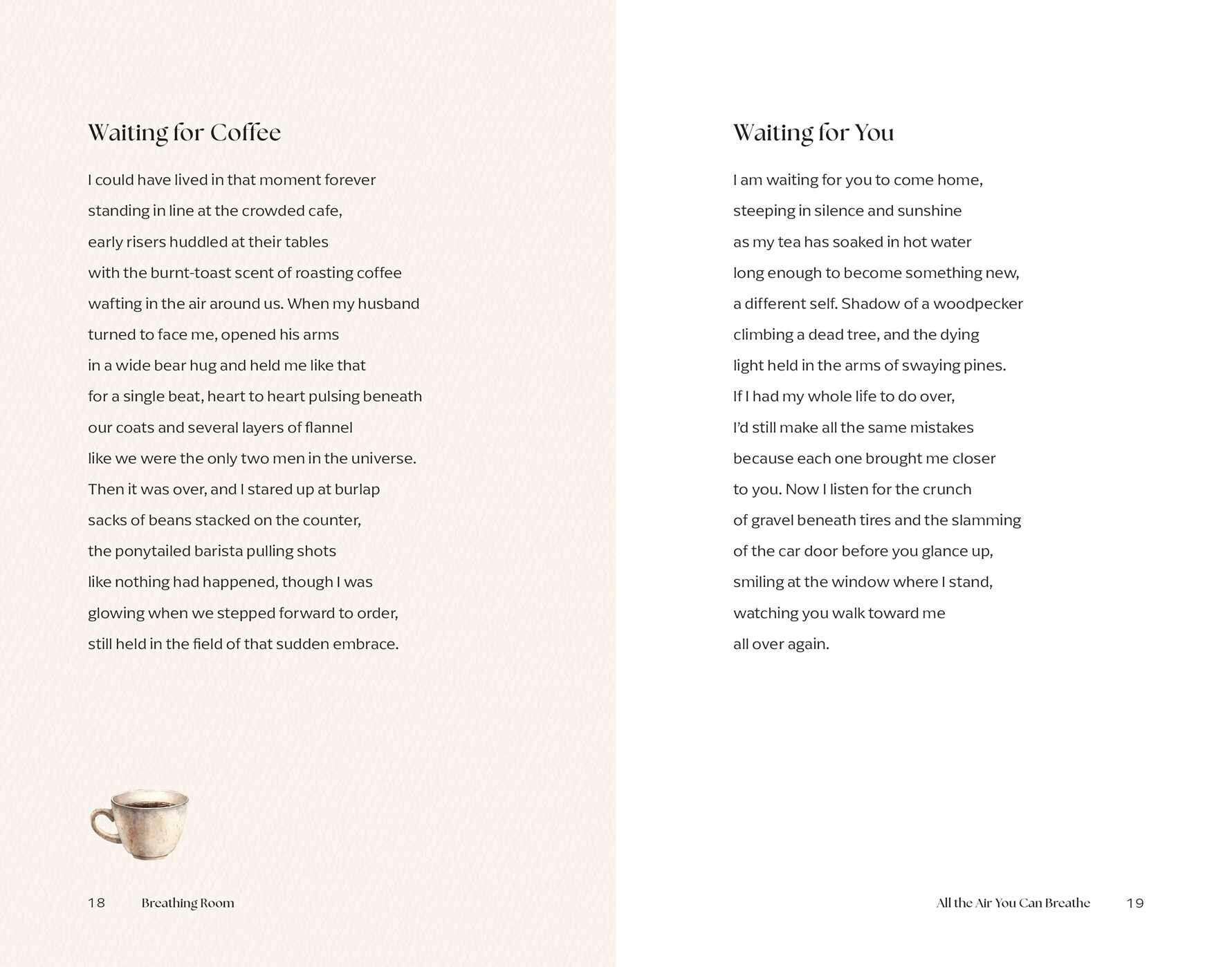 Breathing Room | Book by James Crews | Official Publisher Page | Simon ...