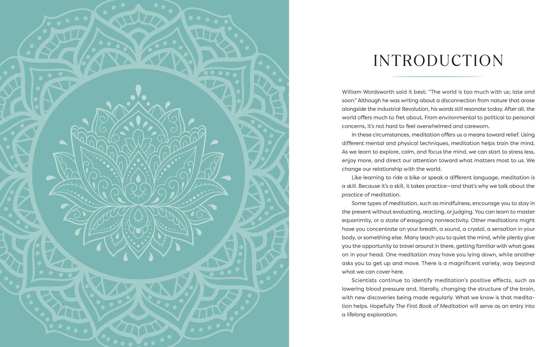 The First Book of Meditation - Book Summary & Video | Official ...