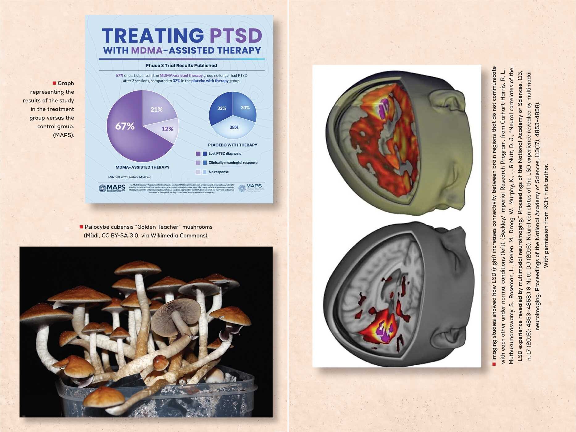 The Psychedelic Reawakening | Book by Anton Gomez-Escolar, Rick Doblin ...