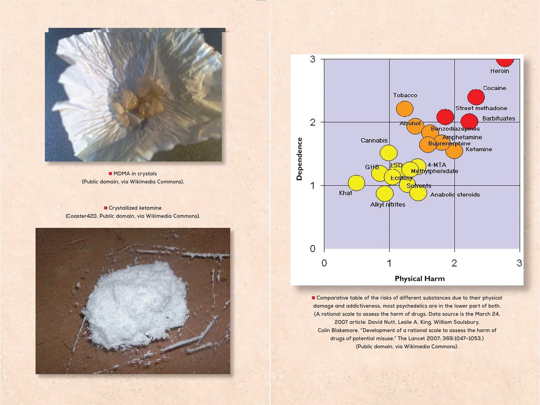 The Psychedelic Reawakening | Book by Anton Gomez-Escolar, Rick Doblin ...