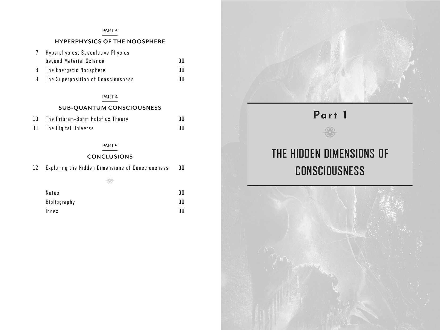 The Metaverse of Consciousness | Book by Shelli Renée Joye, Allan Combs ...