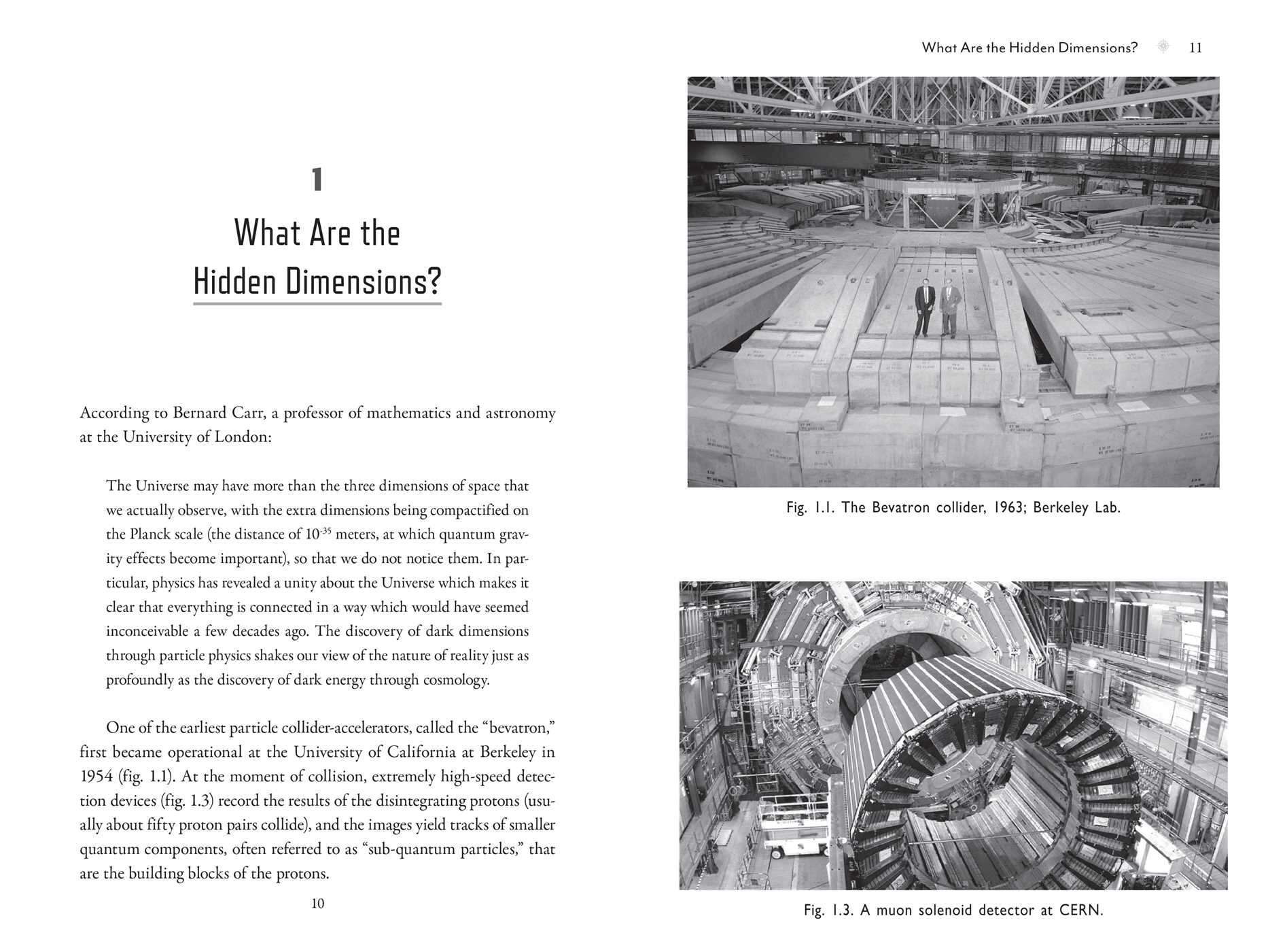 The Metaverse of Consciousness | Book by Shelli Renée Joye, Allan Combs ...