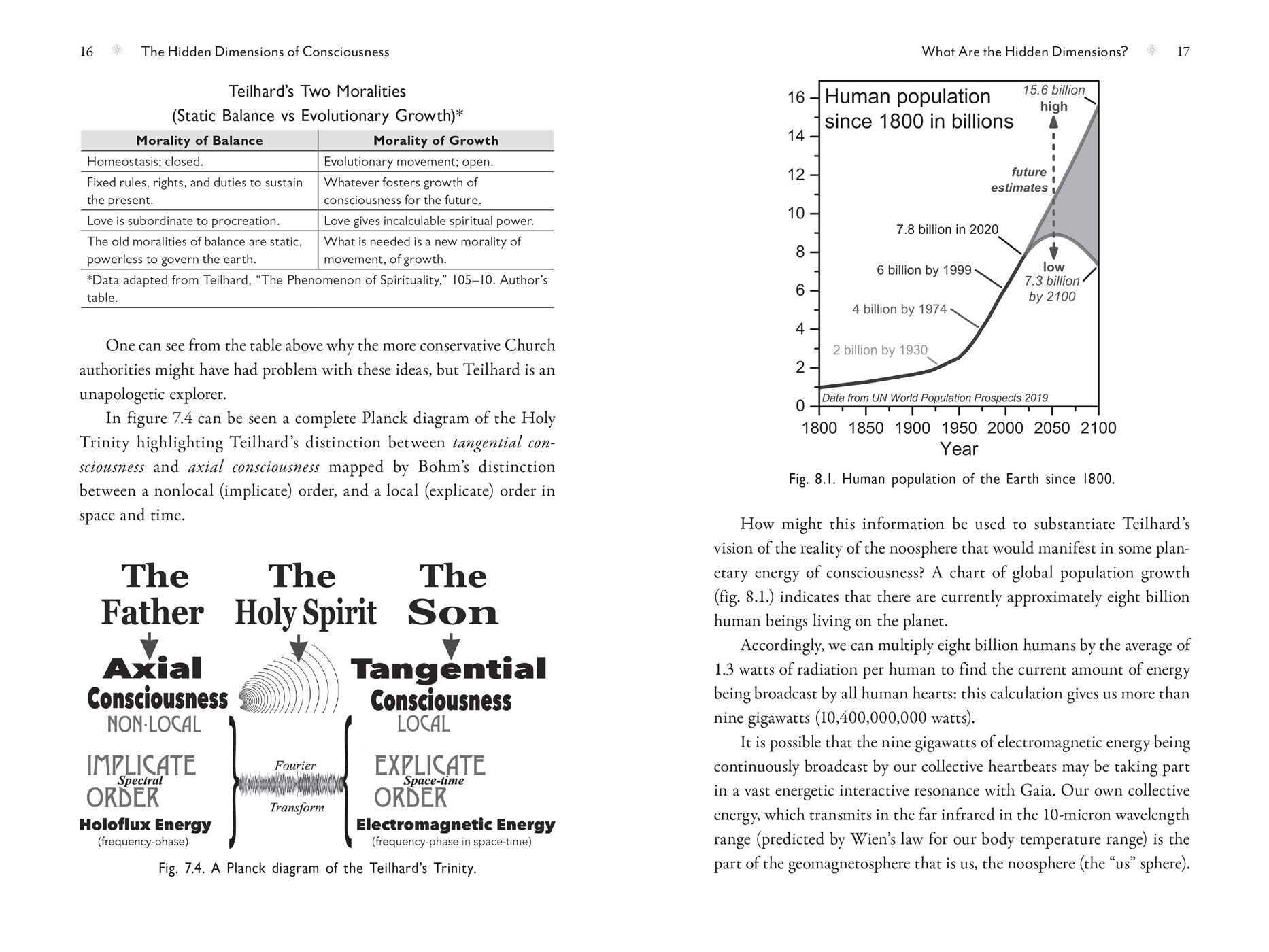 The Metaverse of Consciousness | Book by Shelli Renée Joye, Allan Combs ...