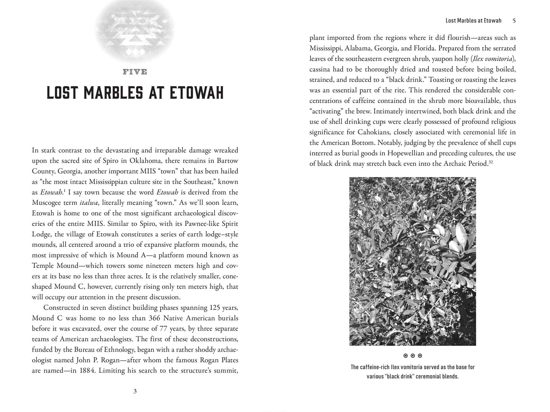 Tripping the Trail of Ghosts | Book by P. D. Newman, Christine VanPool ...