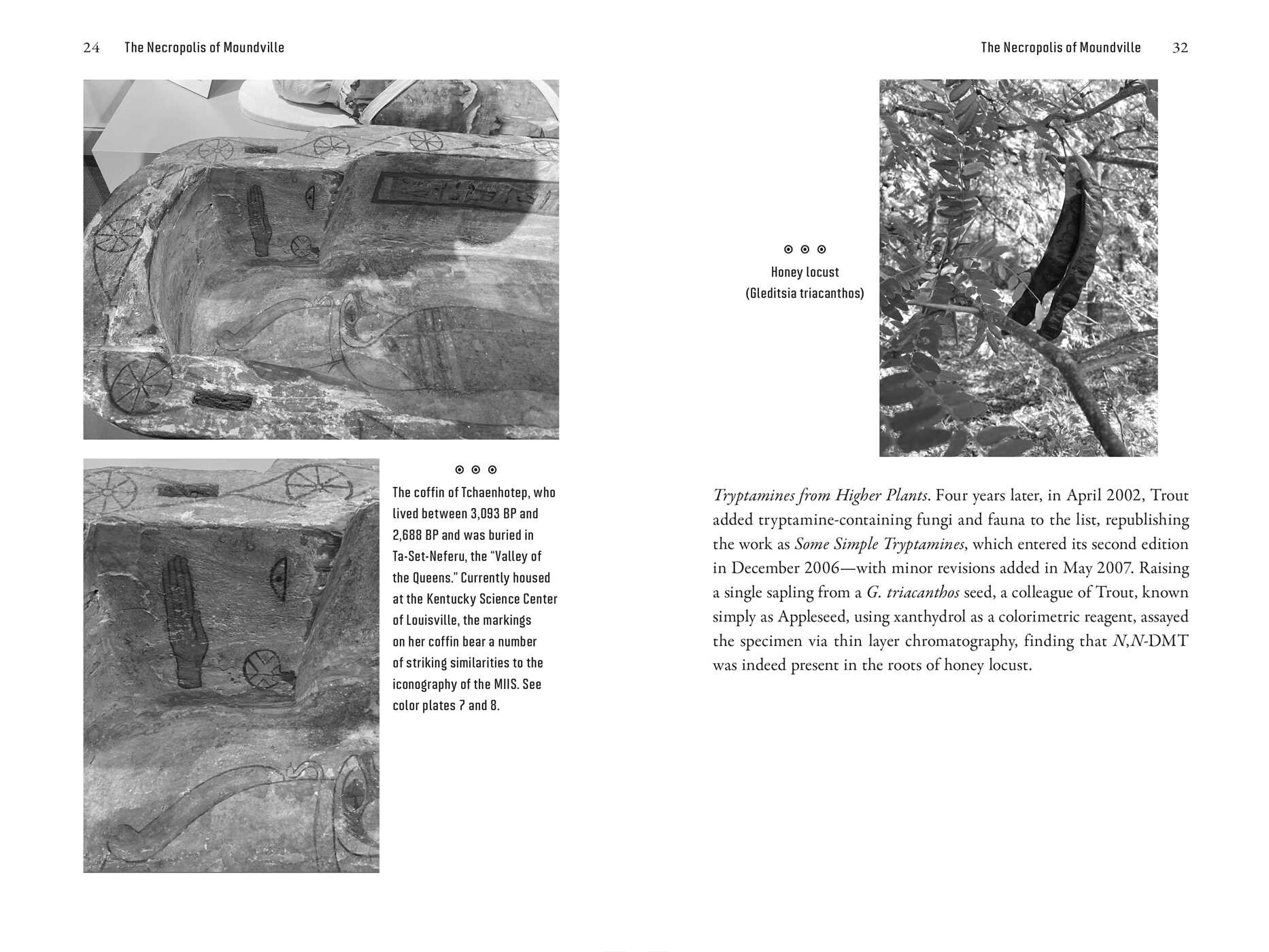 Tripping the Trail of Ghosts eBook by P. D. Newman, Christine VanPool ...