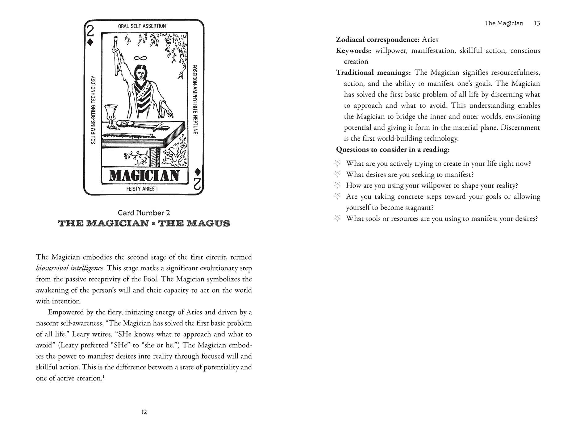 The Occult Timothy Leary | Book by Joseph L. Flatley, R. U. Sirius ...