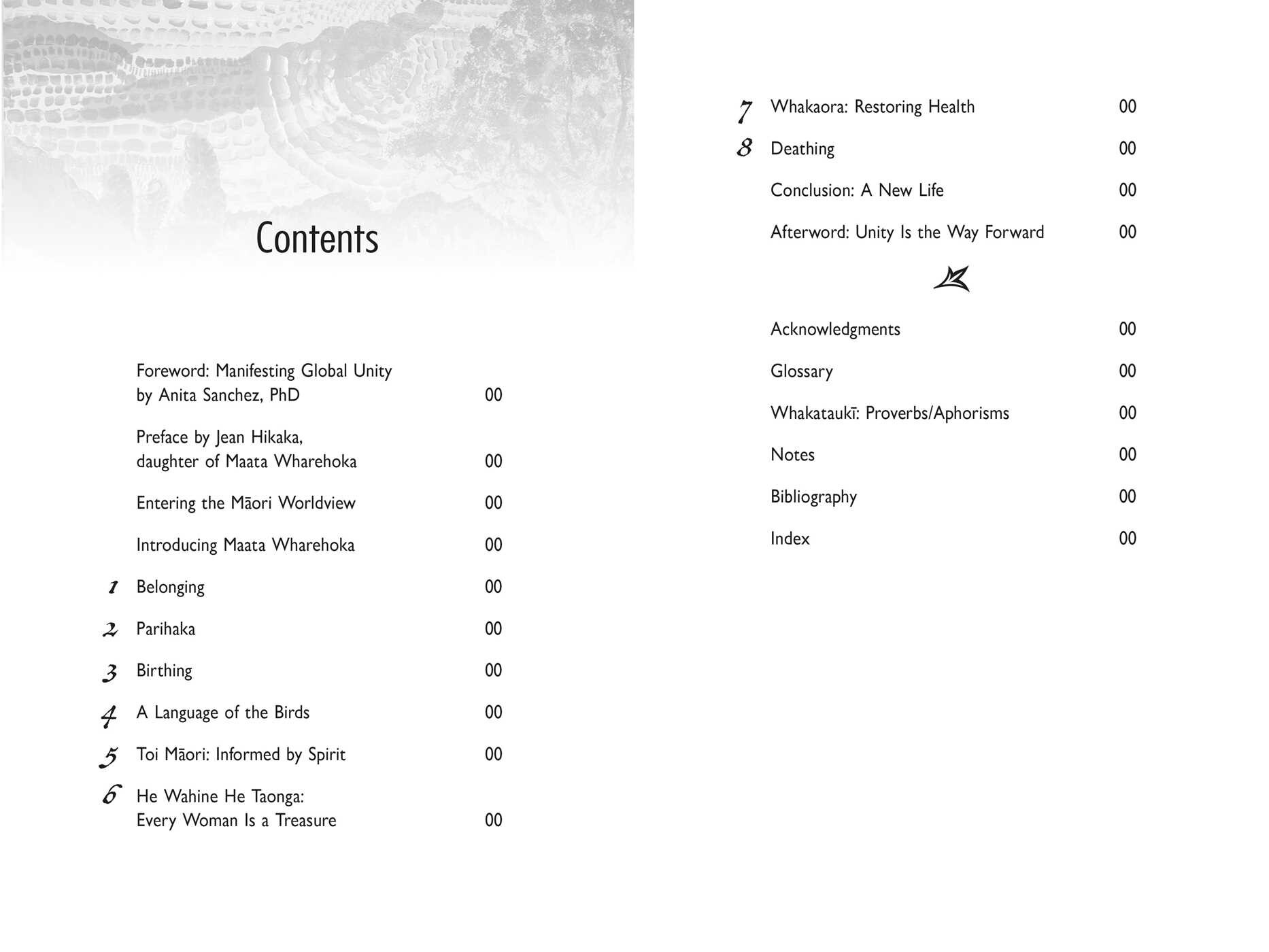 The Spirit of Manaaki | Book by Stephanie Mines, Jean Hikaka | Official ...