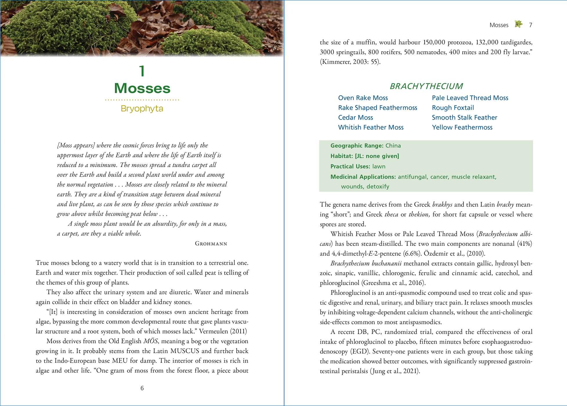 Moss Medicine | Book by Robert Dale Rogers, Seán Pádraig O'Donoghue ...