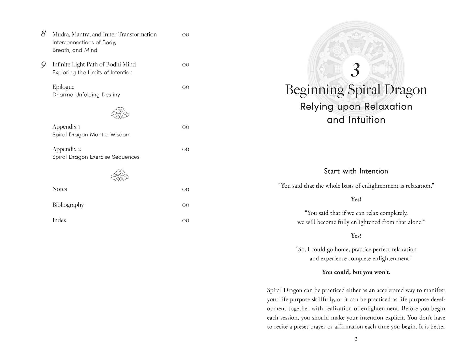 Spiral Dragon Dharma Gate eBook by Johndennis Govert | Official ...