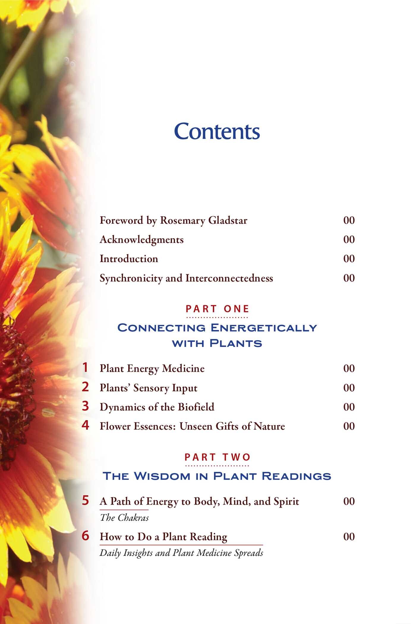 Plant Energy Medicine | Book by Rhonda PallasDowney, Sandi O'Connor ...