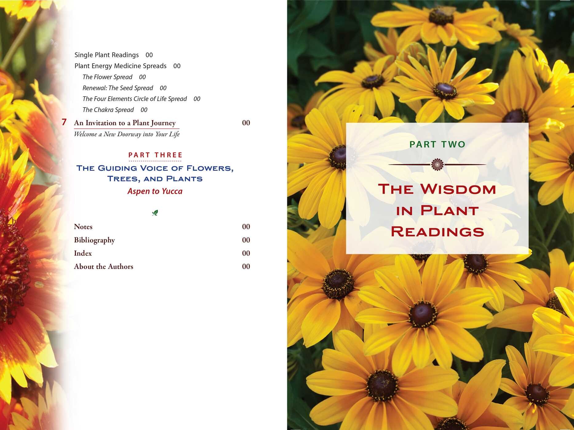 Plant Energy Medicine | Book by Rhonda PallasDowney, Sandi O'Connor ...