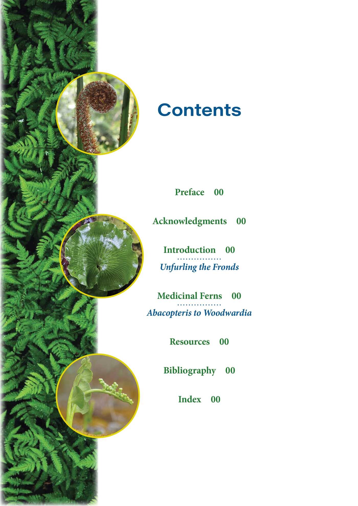 The Fern Pharmacy | Book by Robert Dale Rogers | Official Publisher ...