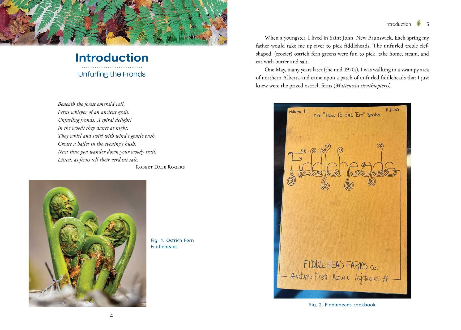 The Fern Pharmacy | Book by Robert Dale Rogers | Official Publisher ...