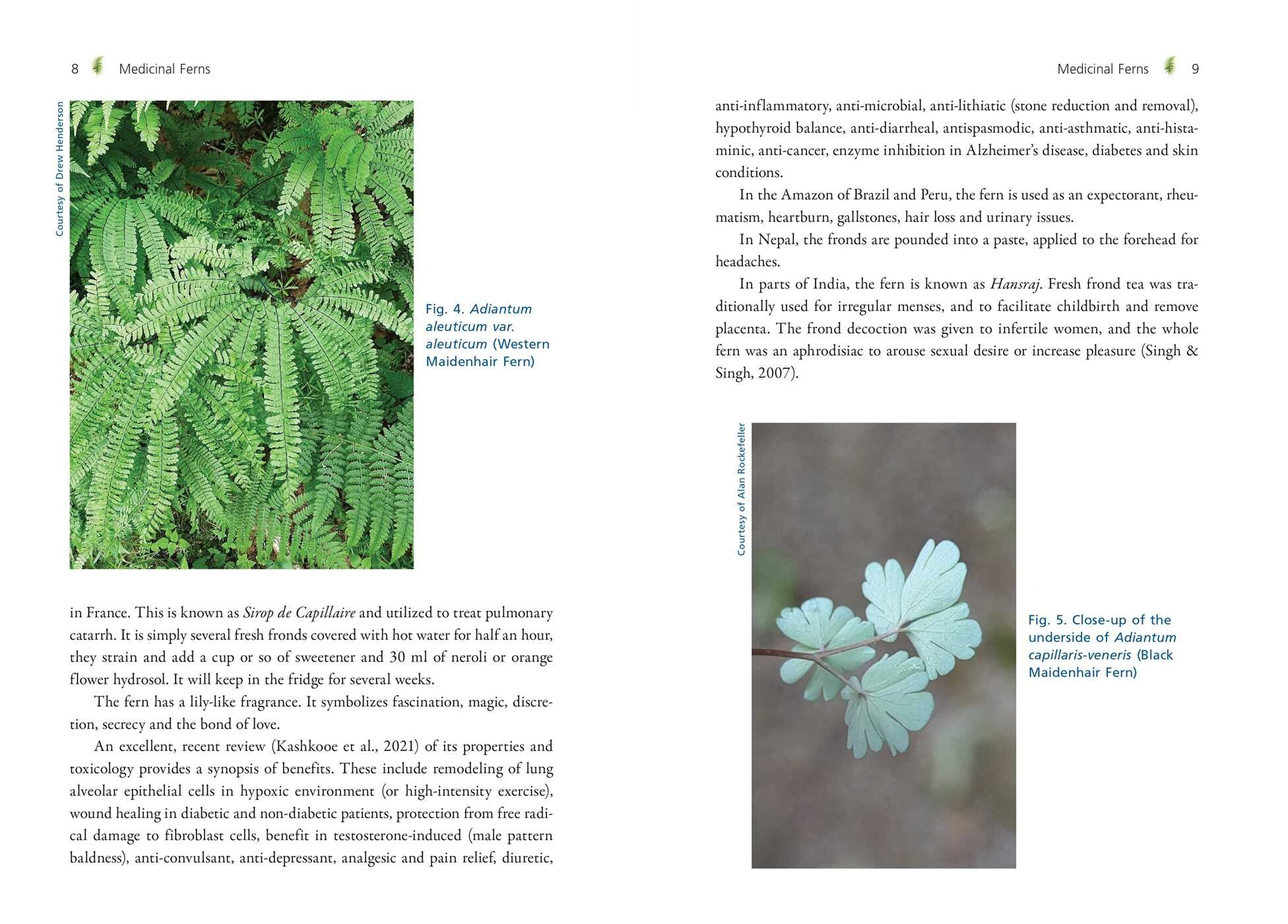 The Fern Pharmacy | Book by Robert Dale Rogers | Official Publisher ...