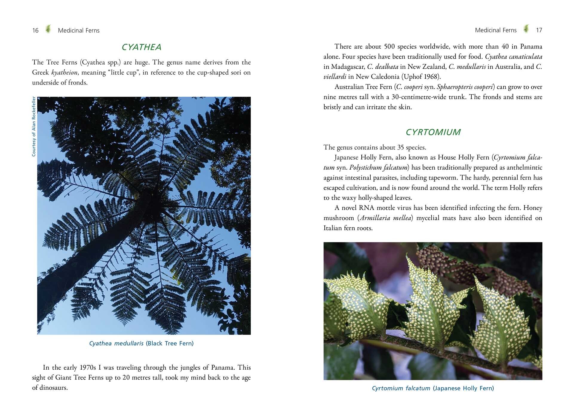 The Fern Pharmacy | Book by Robert Dale Rogers | Official Publisher ...