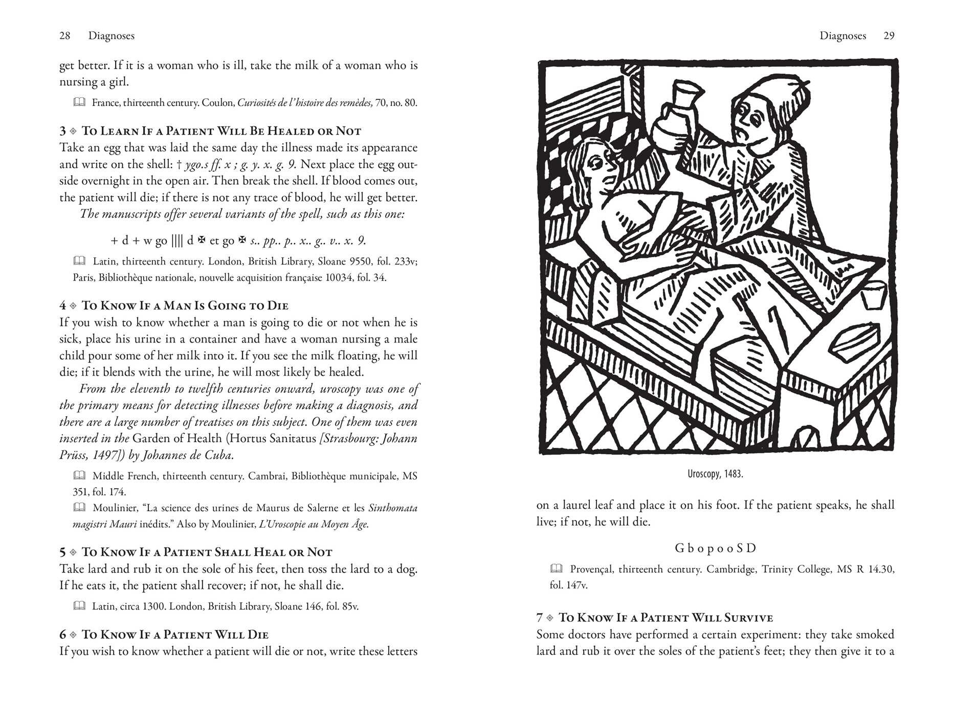 The Sorcerer's Scholar | Book by Claude Lecouteux | Official Publisher ...