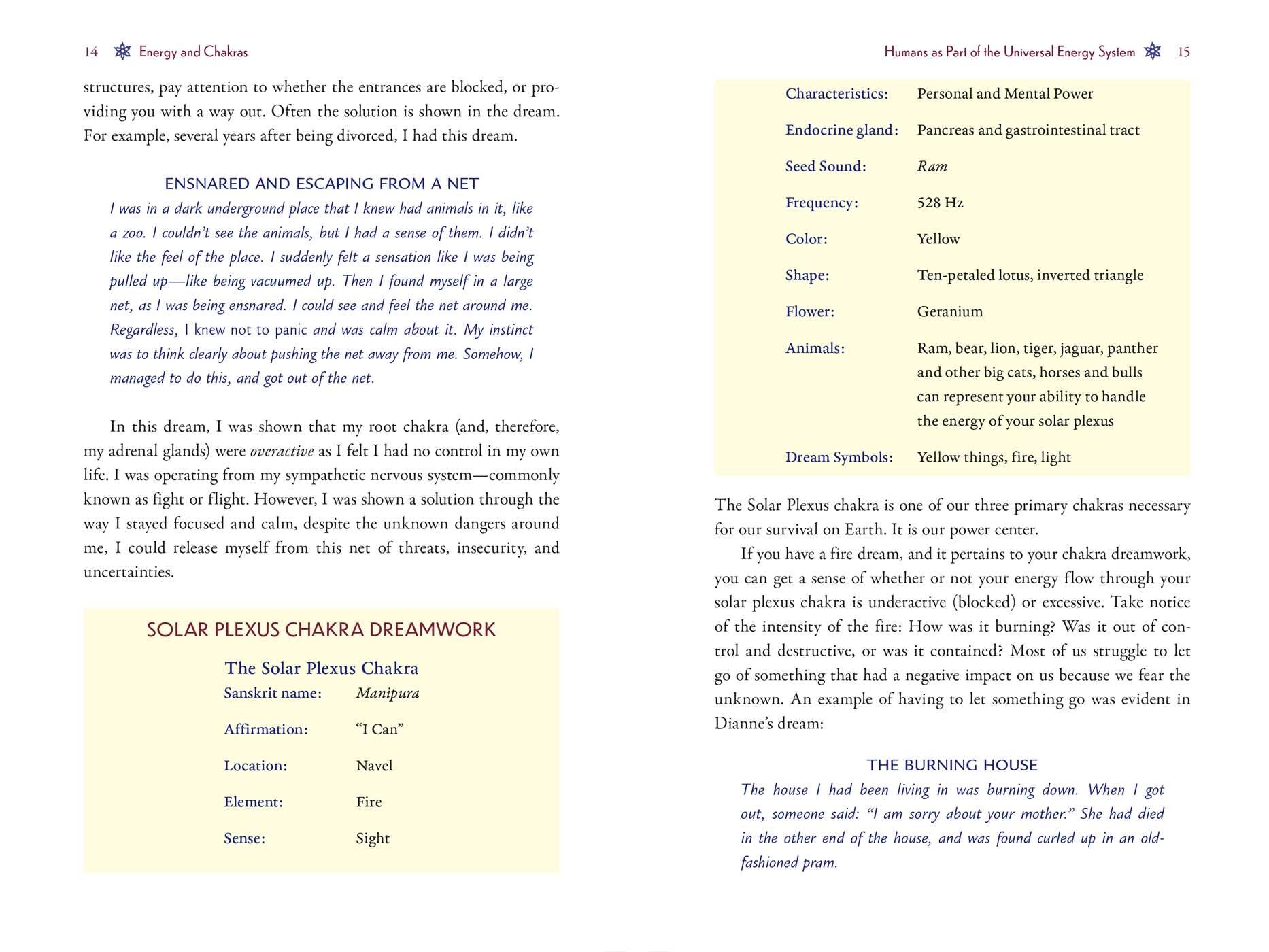 Chakra Dreamwork | Book by Therese E. Duckett | Official Publisher Page ...