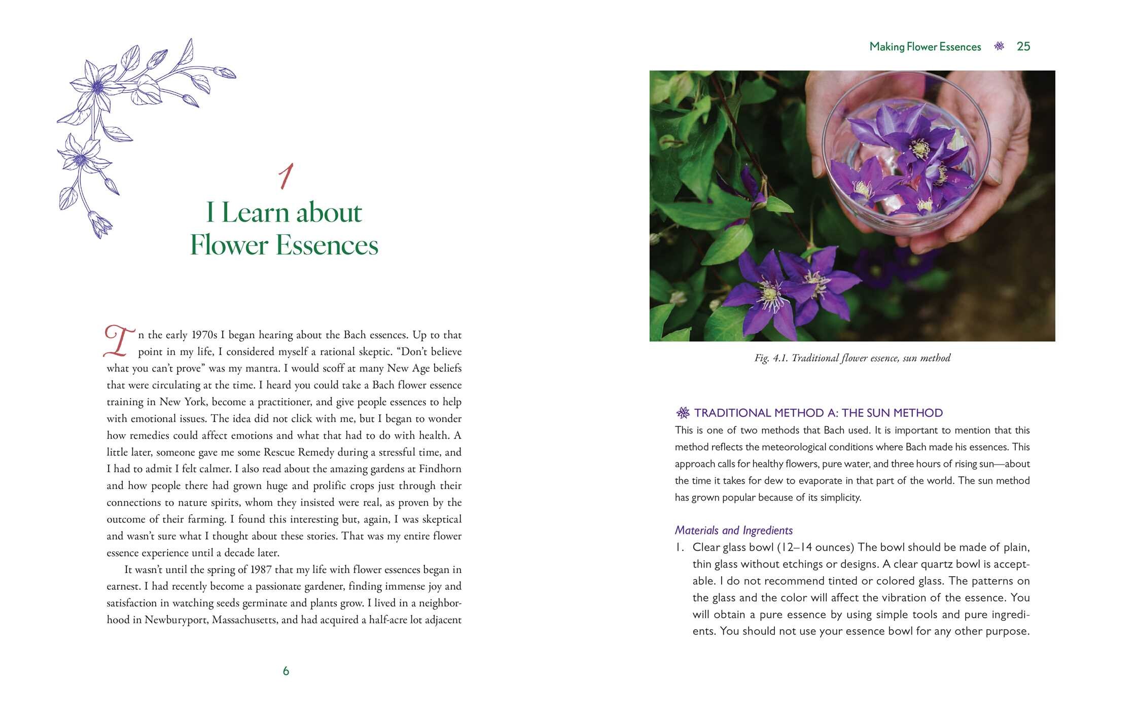 Advanced Flower Essence Healing | Book by David Dalton, Kate Gilday ...