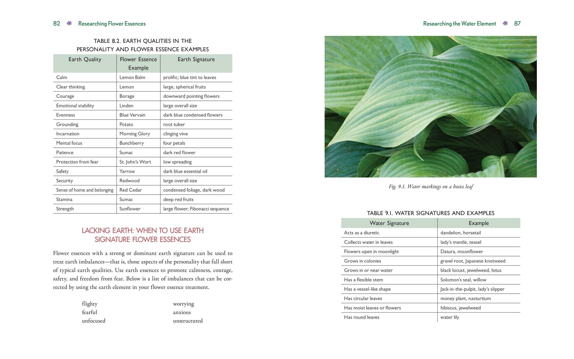 Advanced Flower Essence Healing | Book by David Dalton, Kate Gilday ...