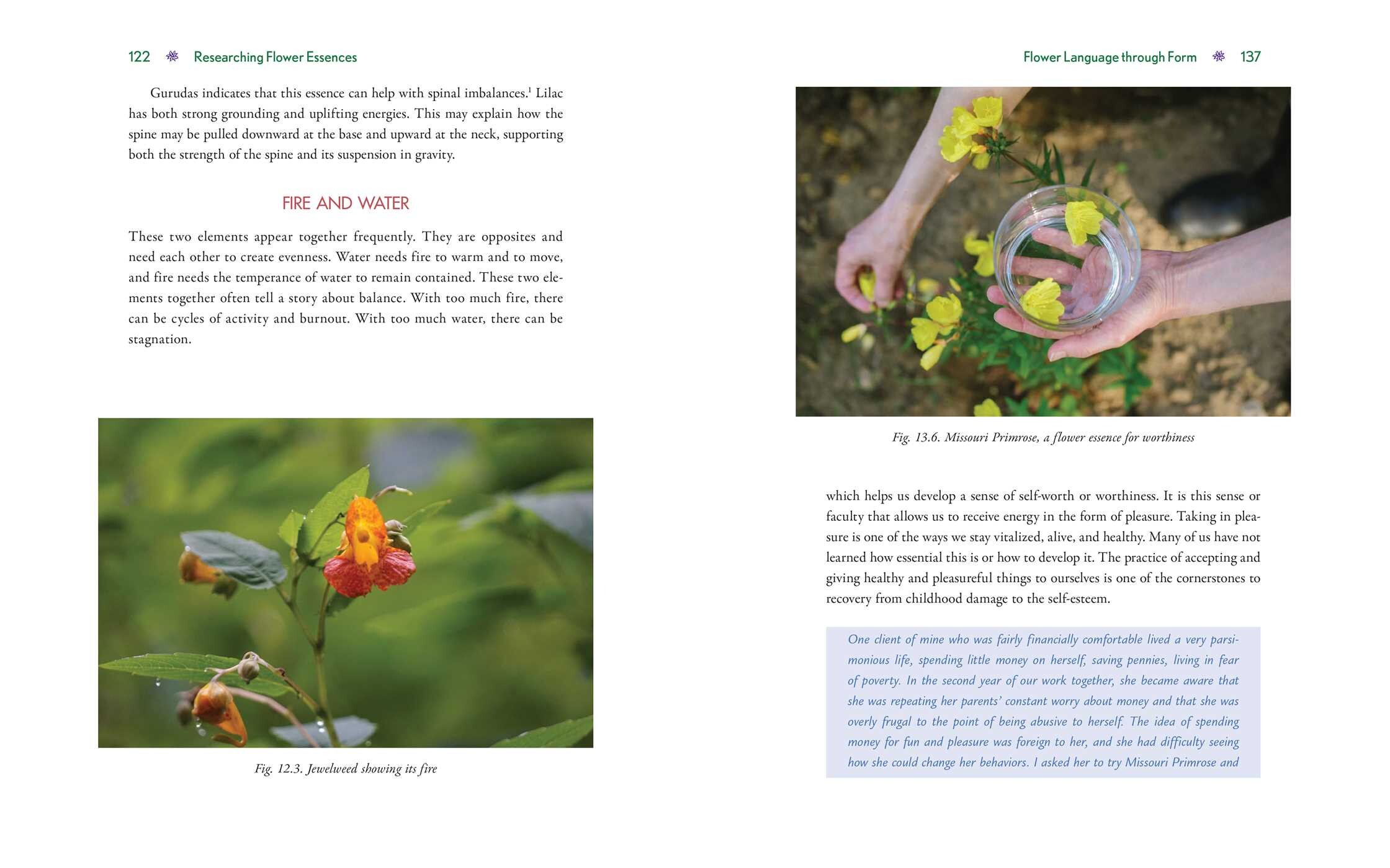 Advanced Flower Essence Healing | Book by David Dalton, Kate Gilday ...
