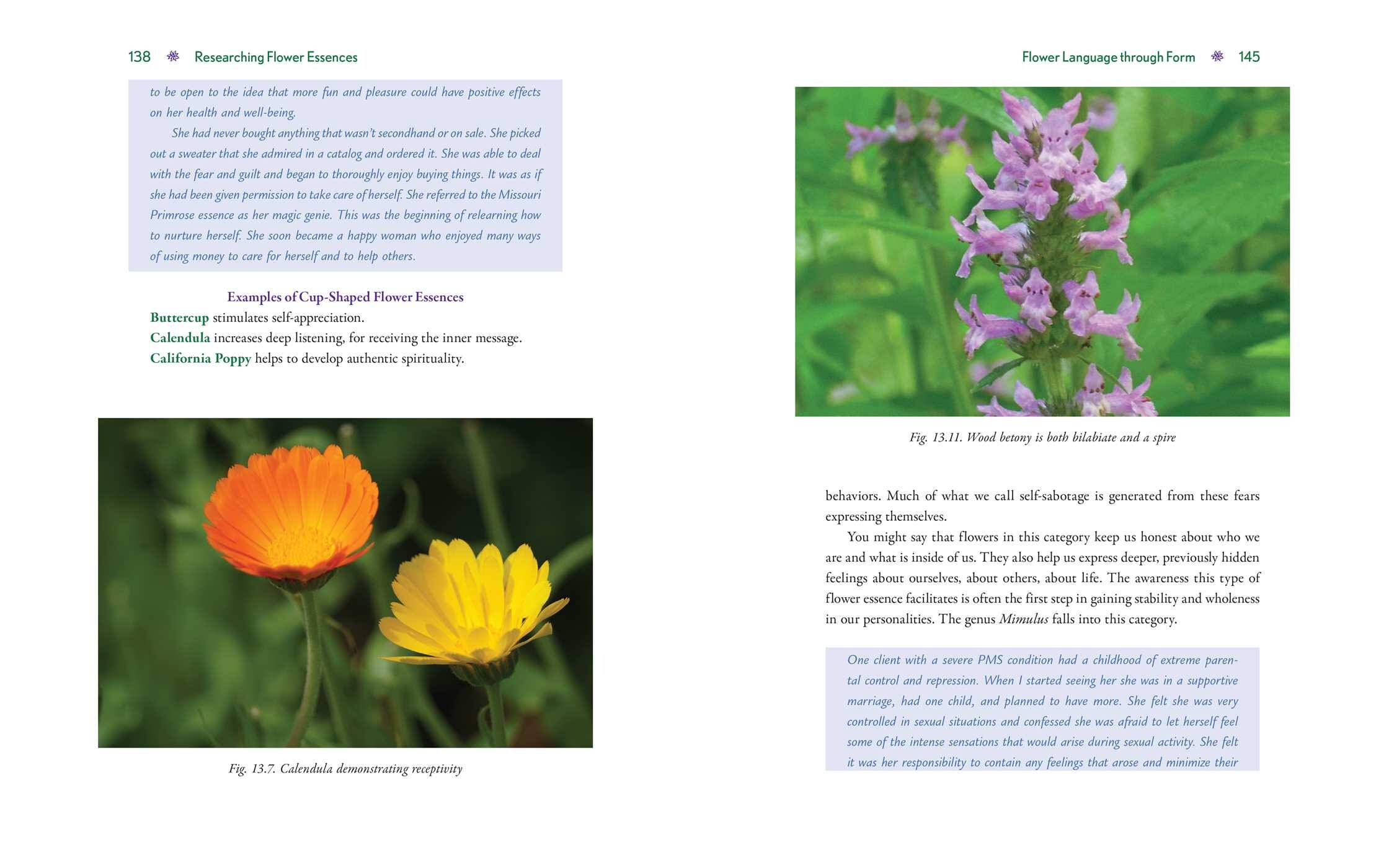 Advanced Flower Essence Healing | Book by David Dalton, Kate Gilday ...