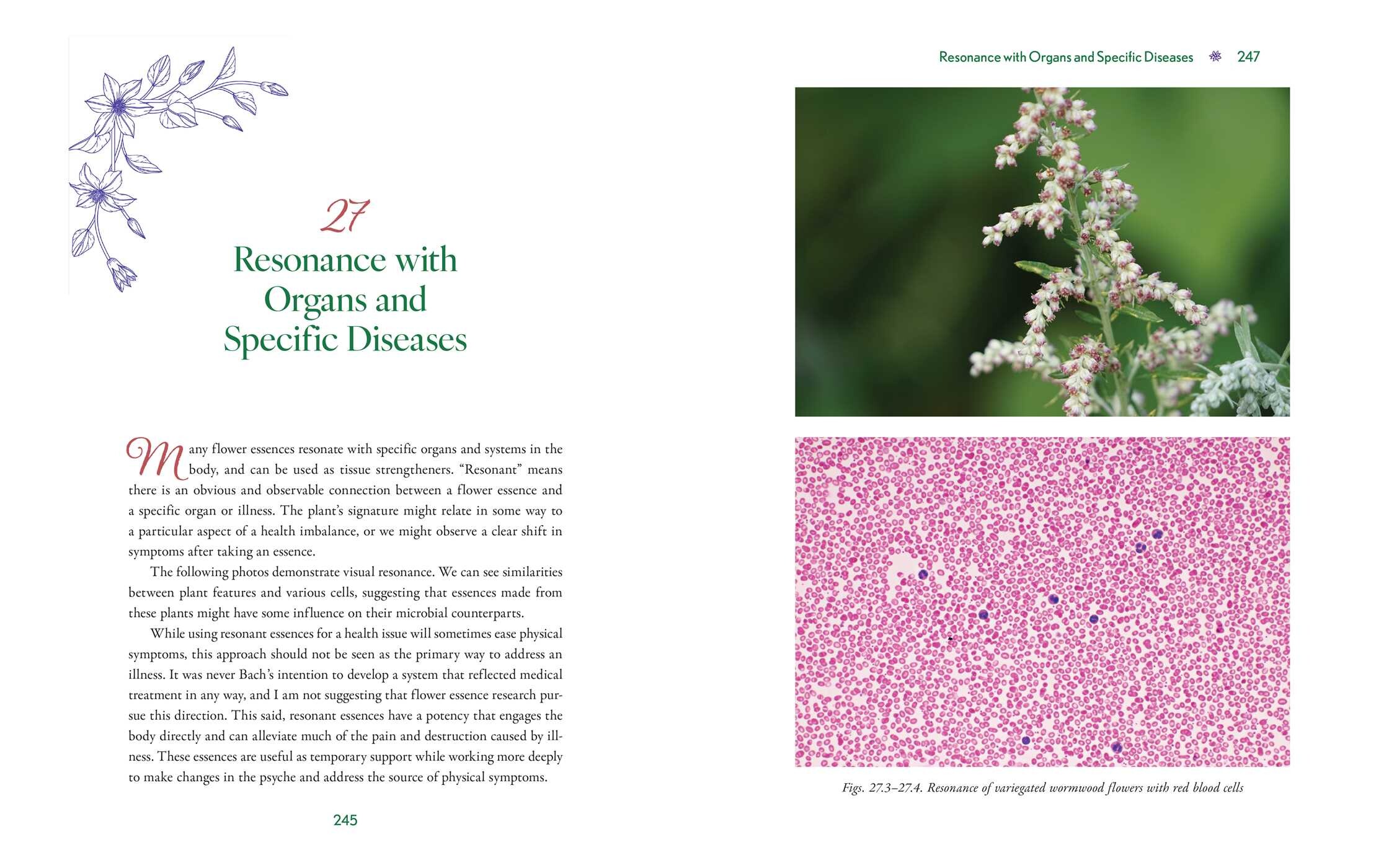 Advanced Flower Essence Healing | Book by David Dalton, Kate Gilday ...