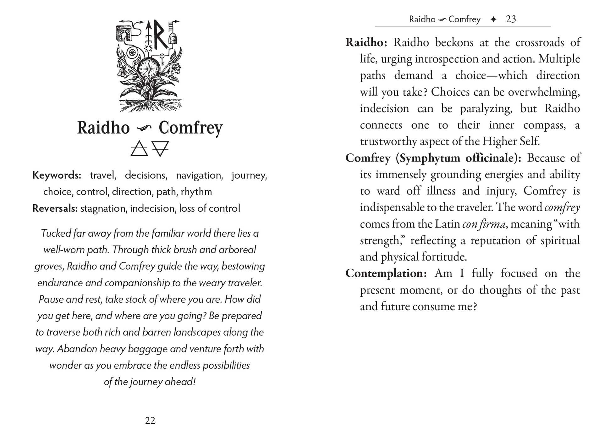 The Runes and Roots Oracle - Book Summary & Video | Official Publisher ...