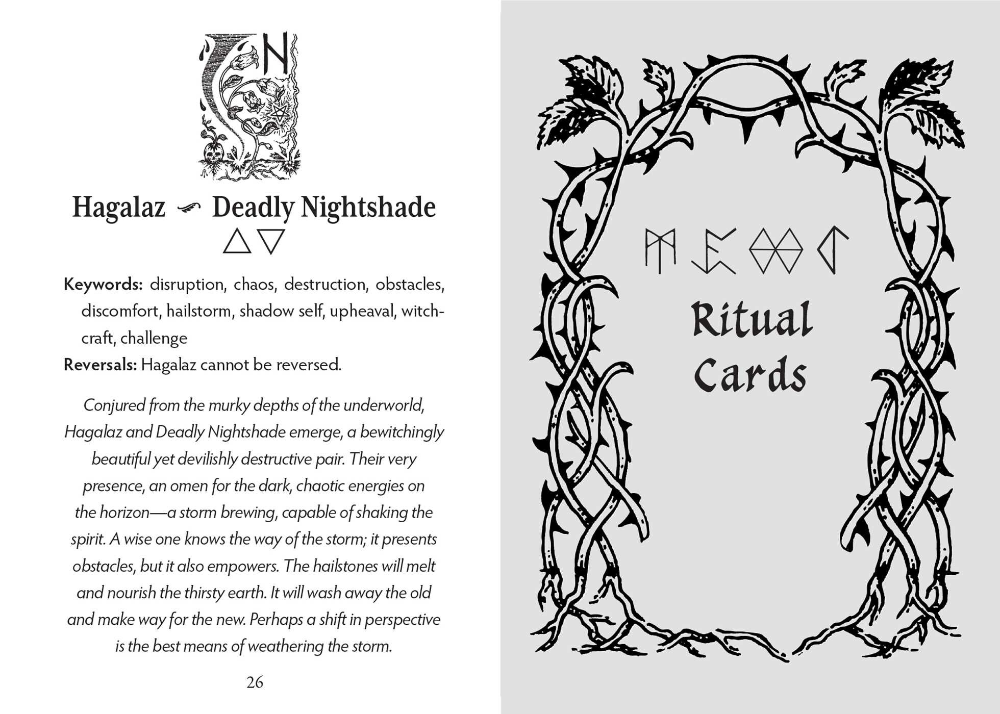 The Runes and Roots Oracle - Book Summary & Video | Official Publisher ...
