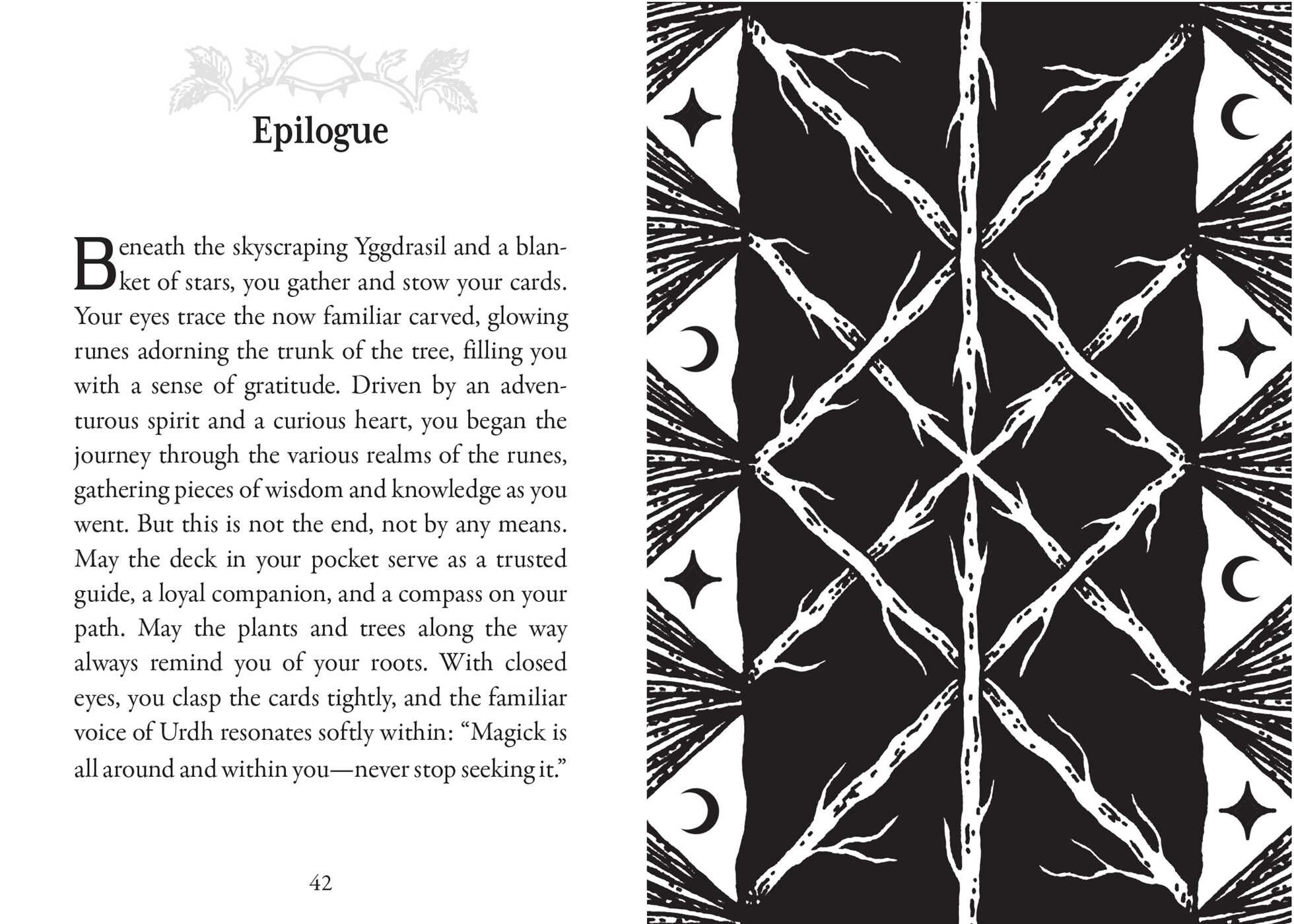 The Runes and Roots Oracle - Book Summary & Video | Official Publisher ...