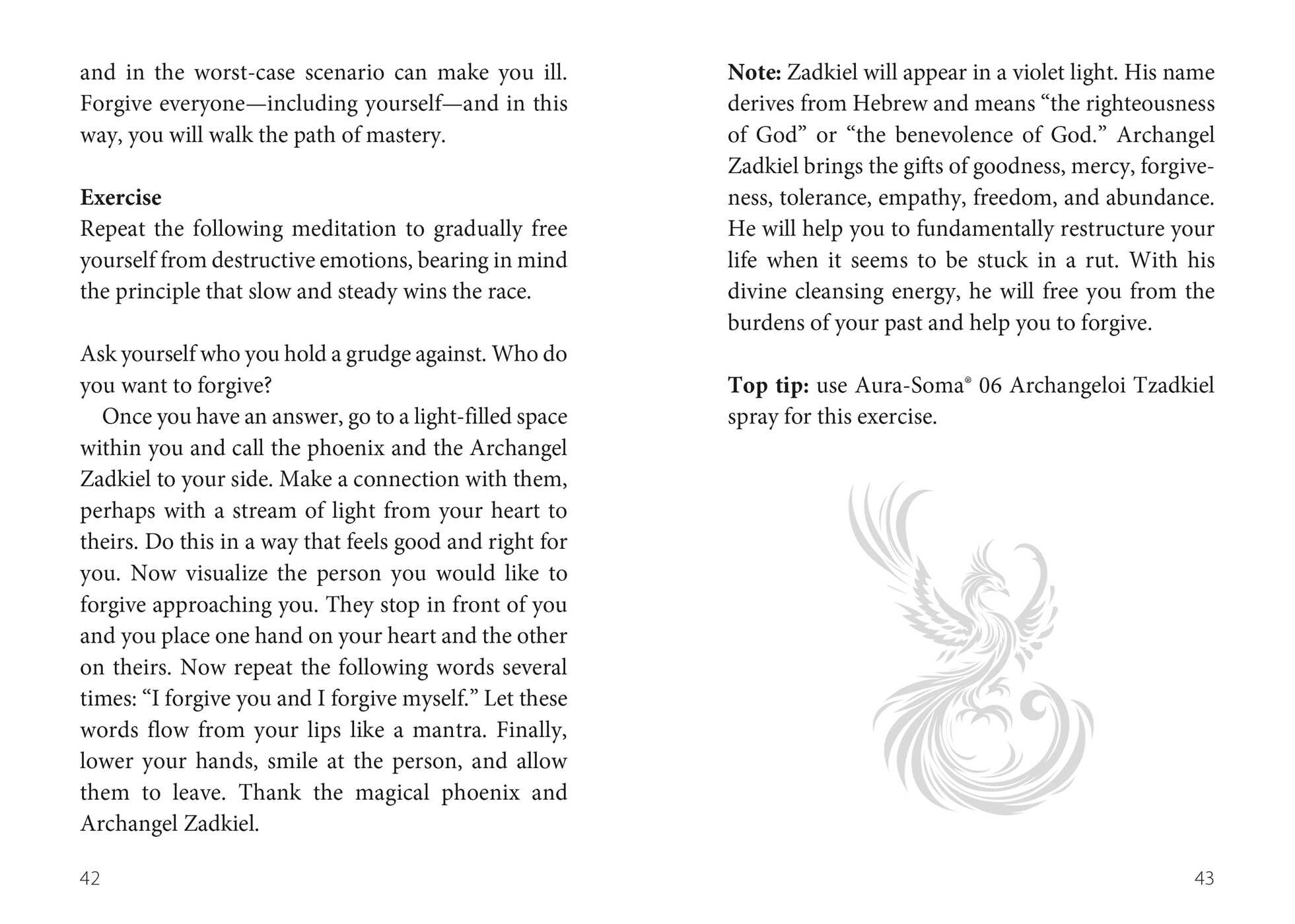 Oracle of the Phoenix - Book Summary & Video | Official Publisher Page ...