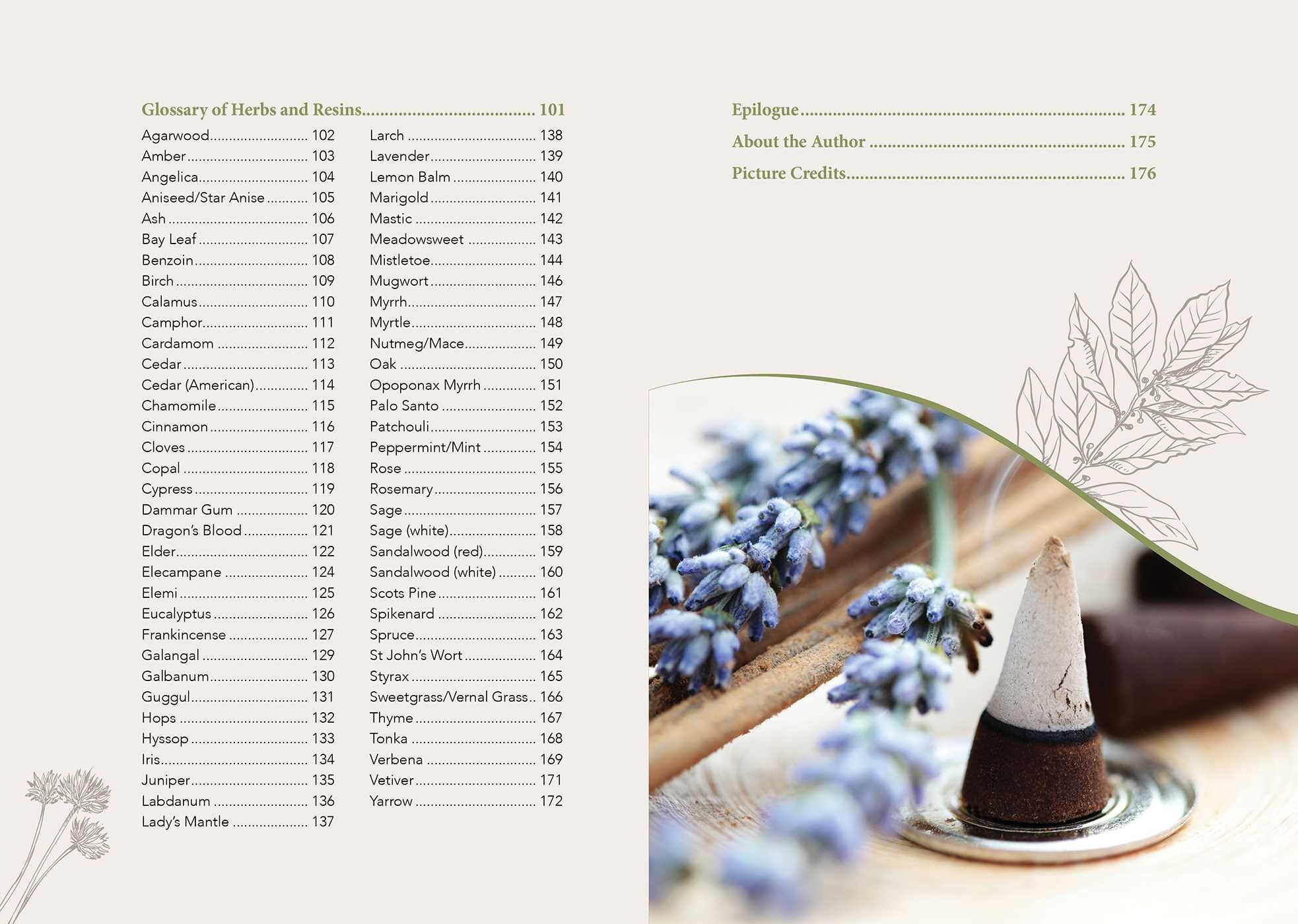 The Complete Smudging Handbook eBook by Markus Schirner | Official ...