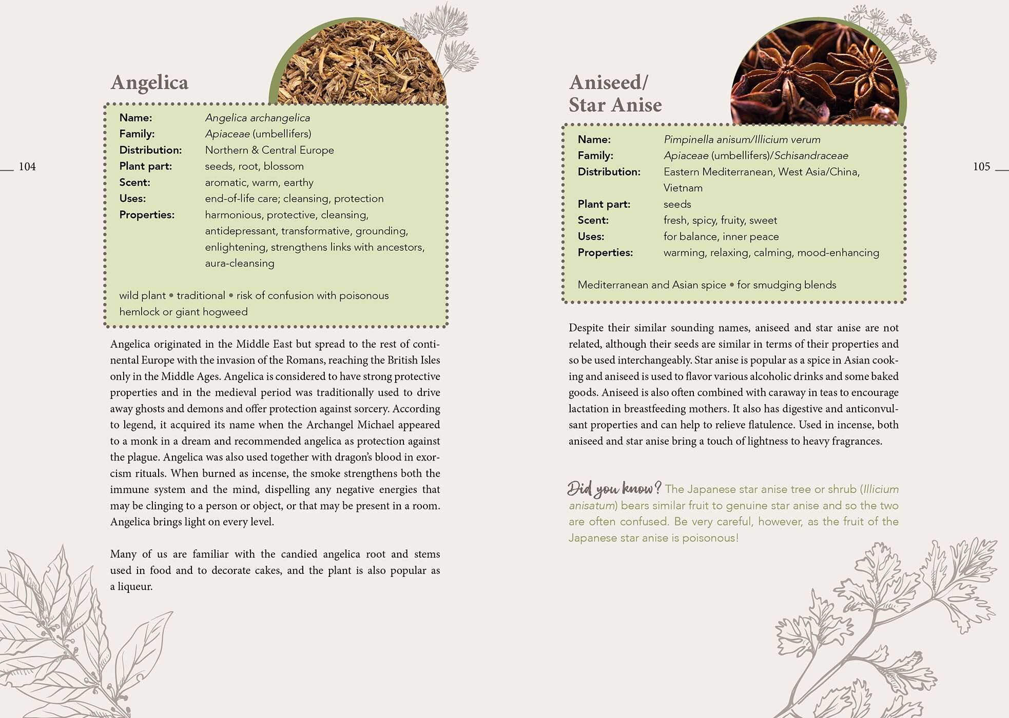 The Complete Smudging Handbook eBook by Markus Schirner | Official ...