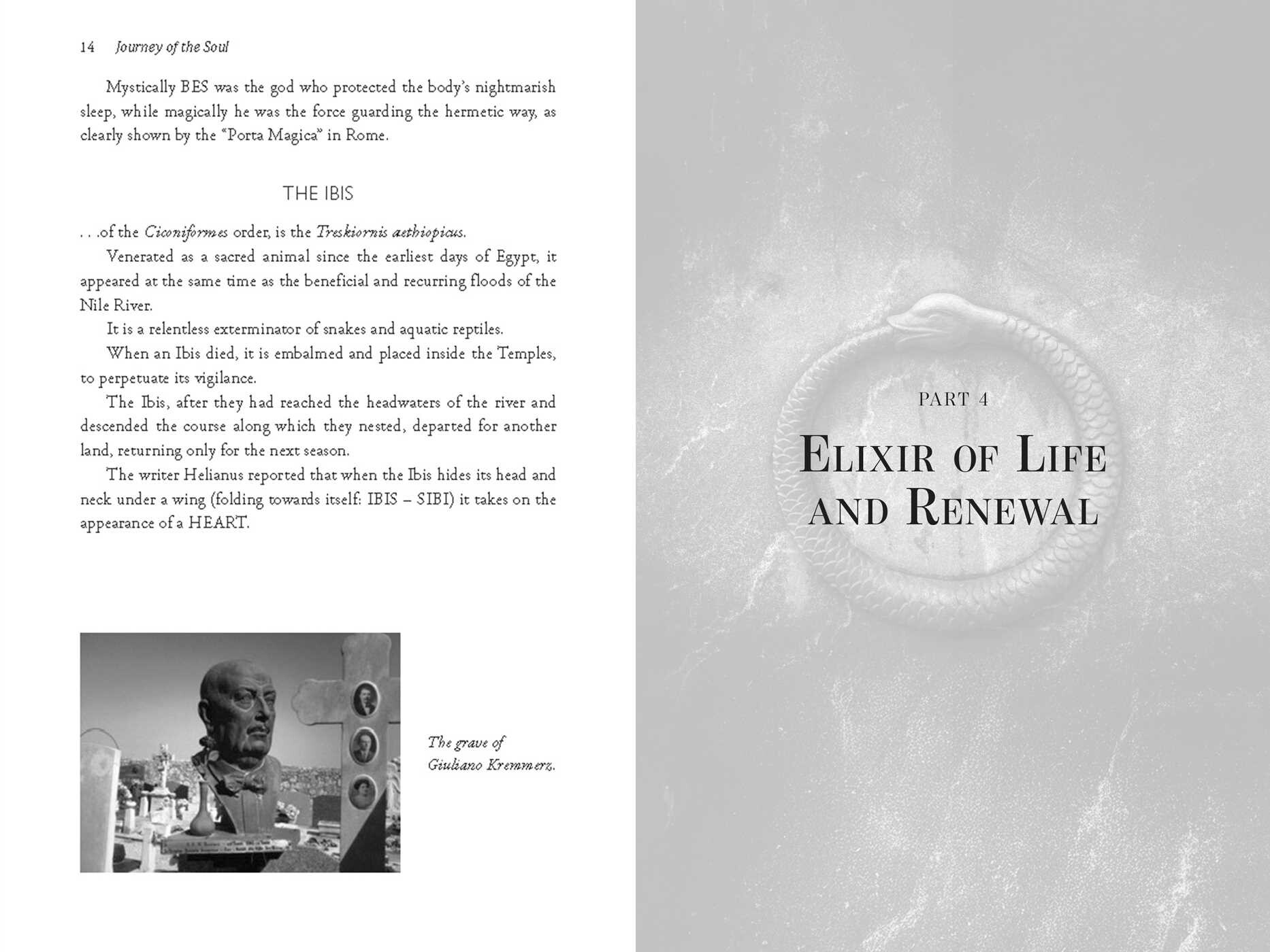 The Hermetic Book of the Dead | Book by David Pantano, Giuliano ...