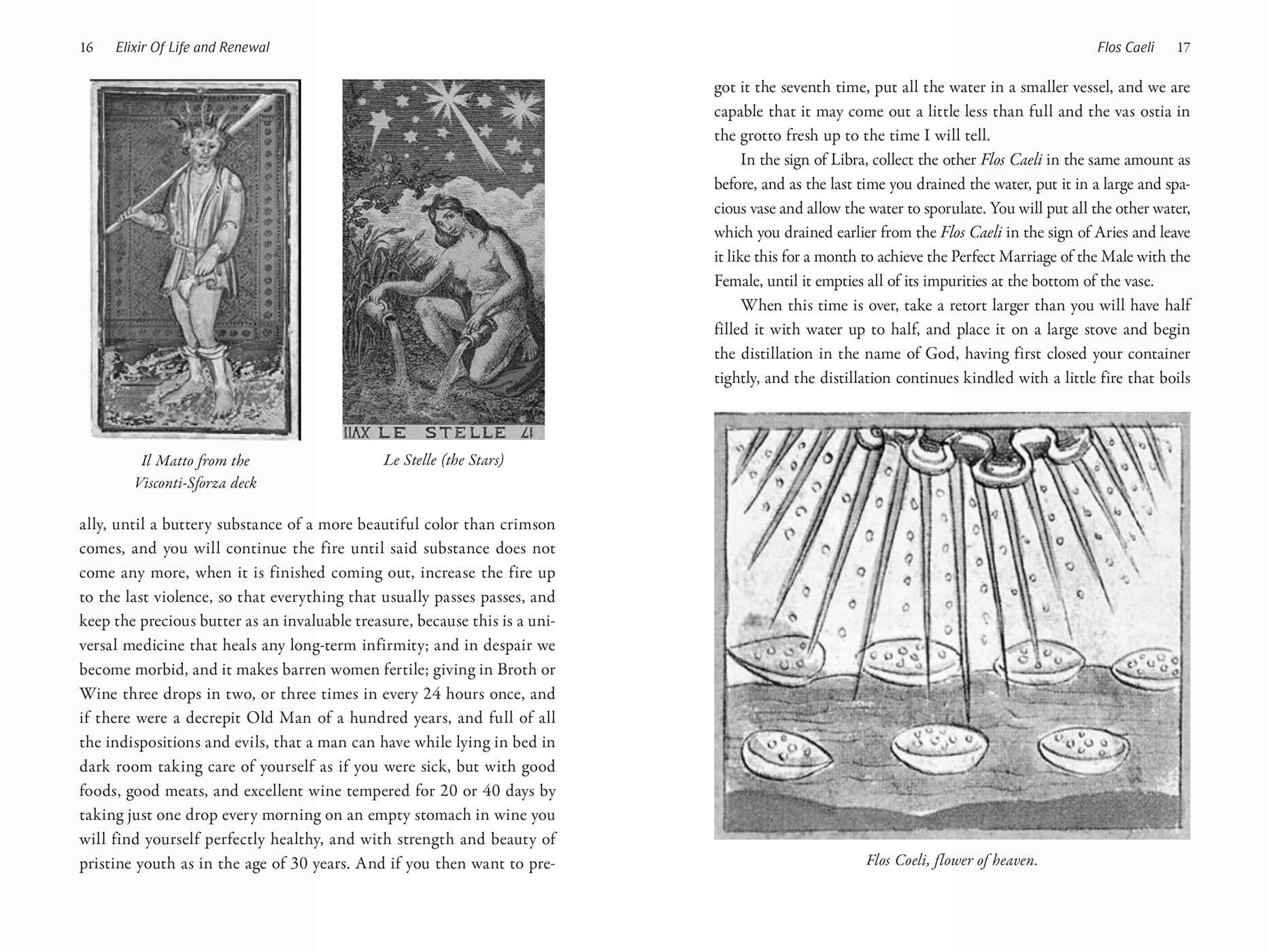 The Hermetic Book of the Dead | Book by David Pantano, Giuliano ...