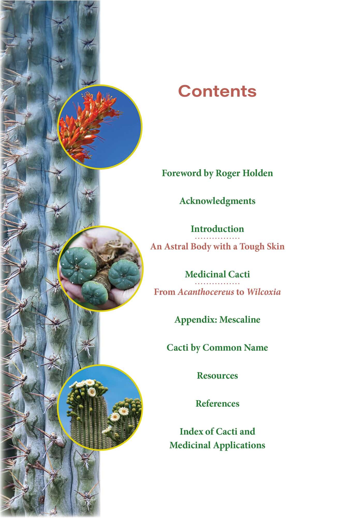 Cactus Medicine | Book by Robert Dale Rogers | Official Publisher Page ...