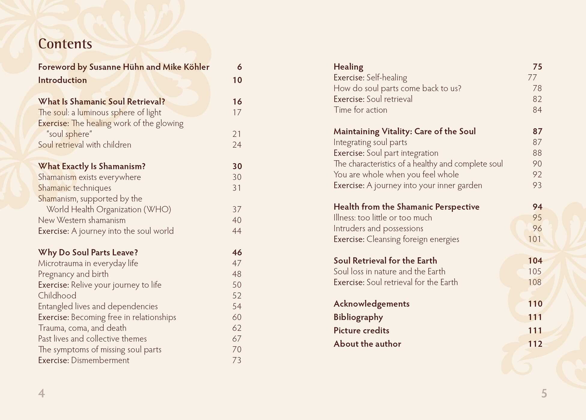 Shamanic Soul Retrieval | Book by Lisa Biritz | Official Publisher Page ...